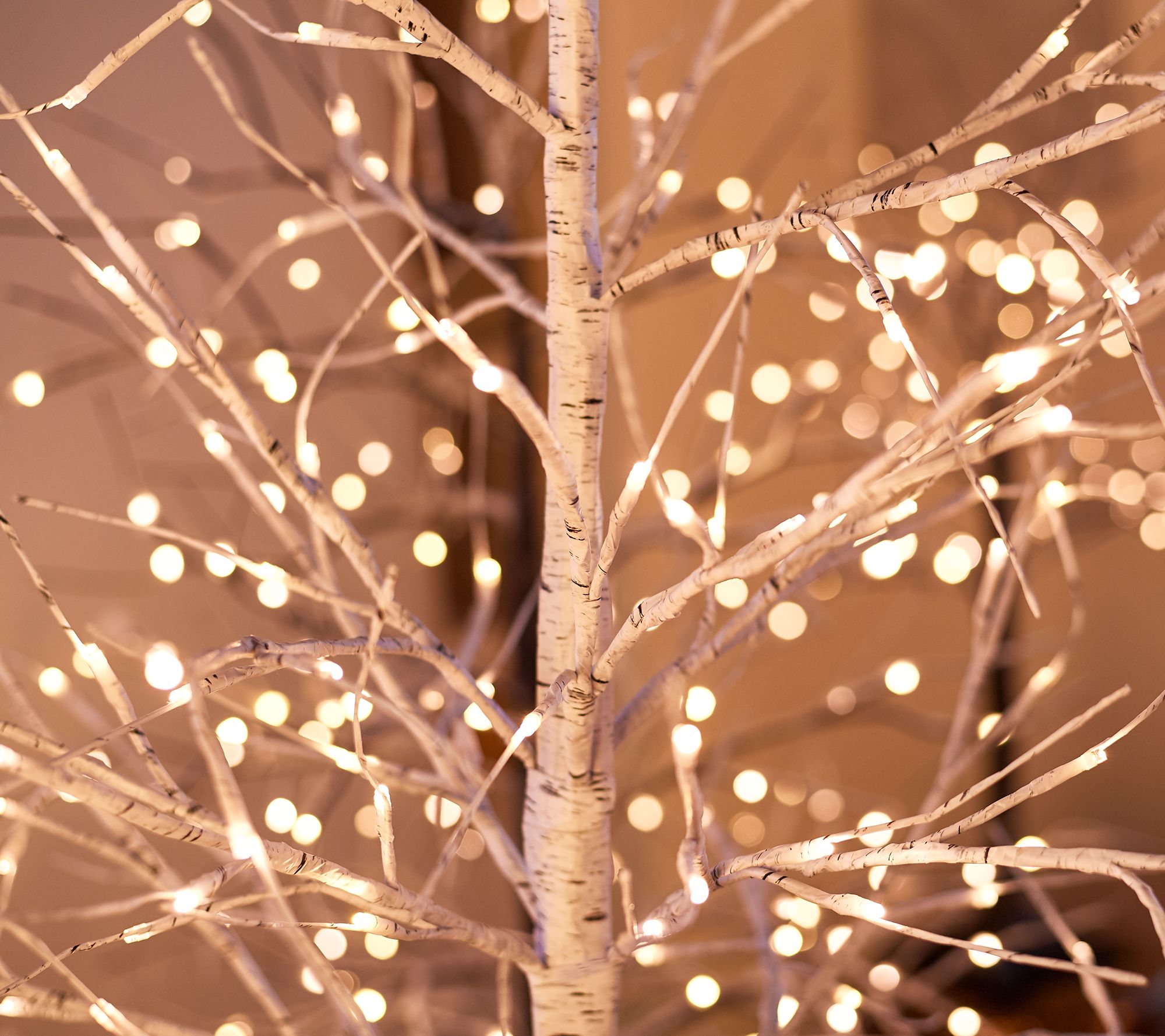 (QVC) Indoor/Outdoor Birch Tree with Twinkle/Steady Lights & Remote by ...
