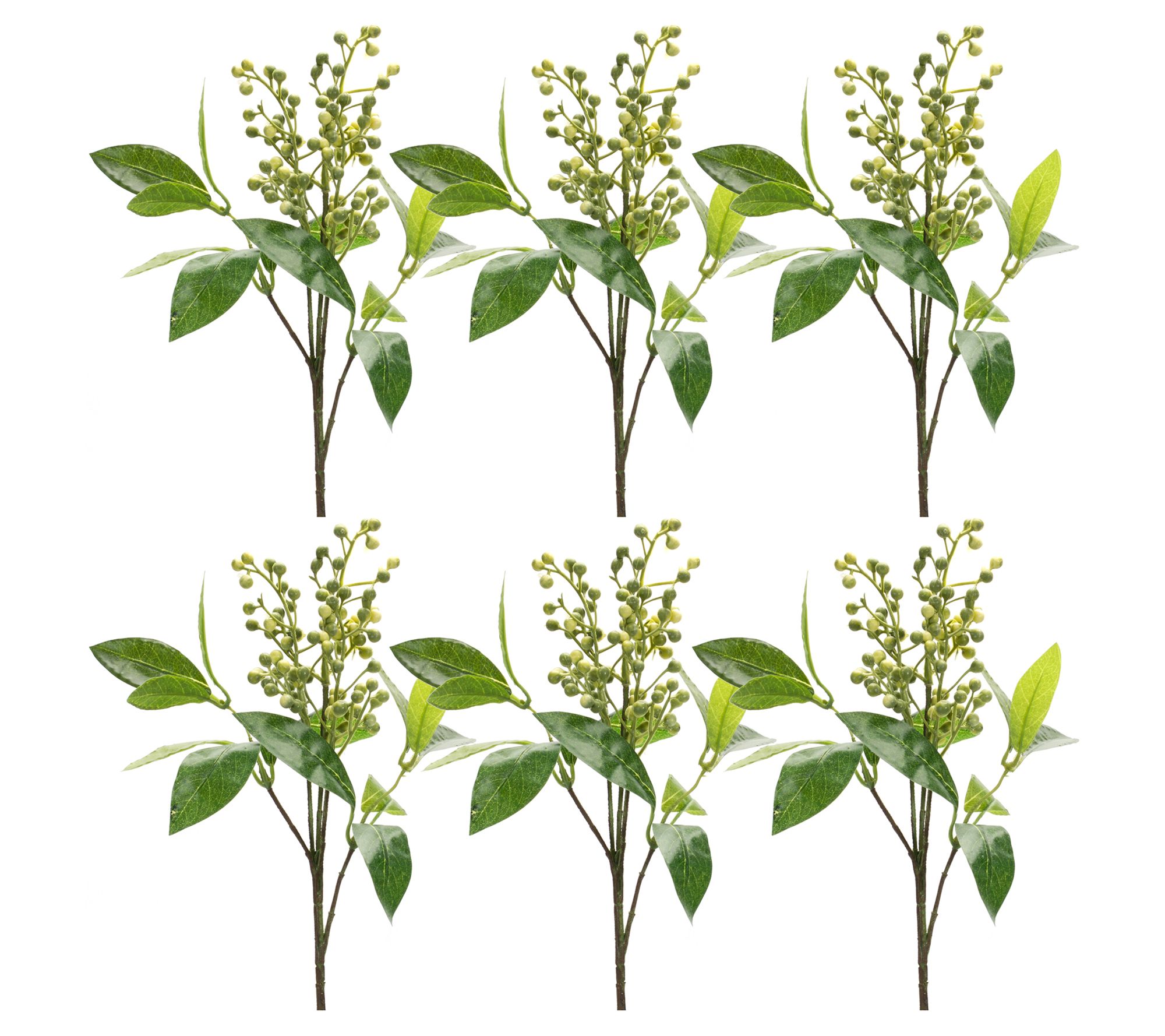 Melrose Green Berry Spray (Set of 6) - QVC.com