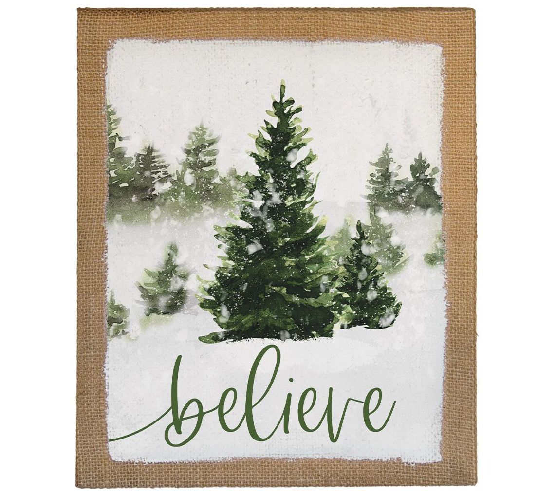 Sincere Surroundings 15" Believe Evergreen Canvas - QVC.com