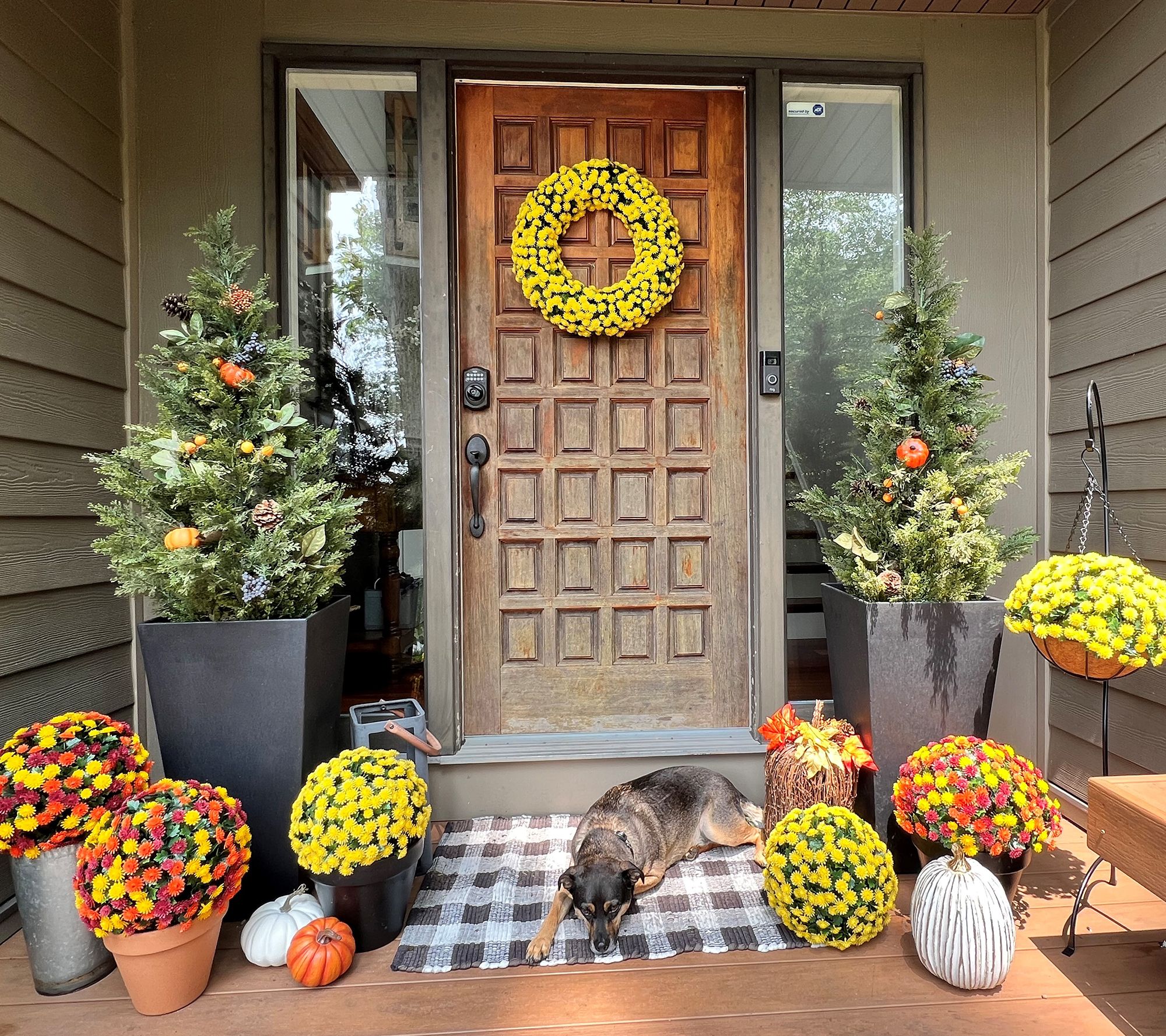 Wicker Park 21" Faux Harvest Mum Wreath - QVC.com