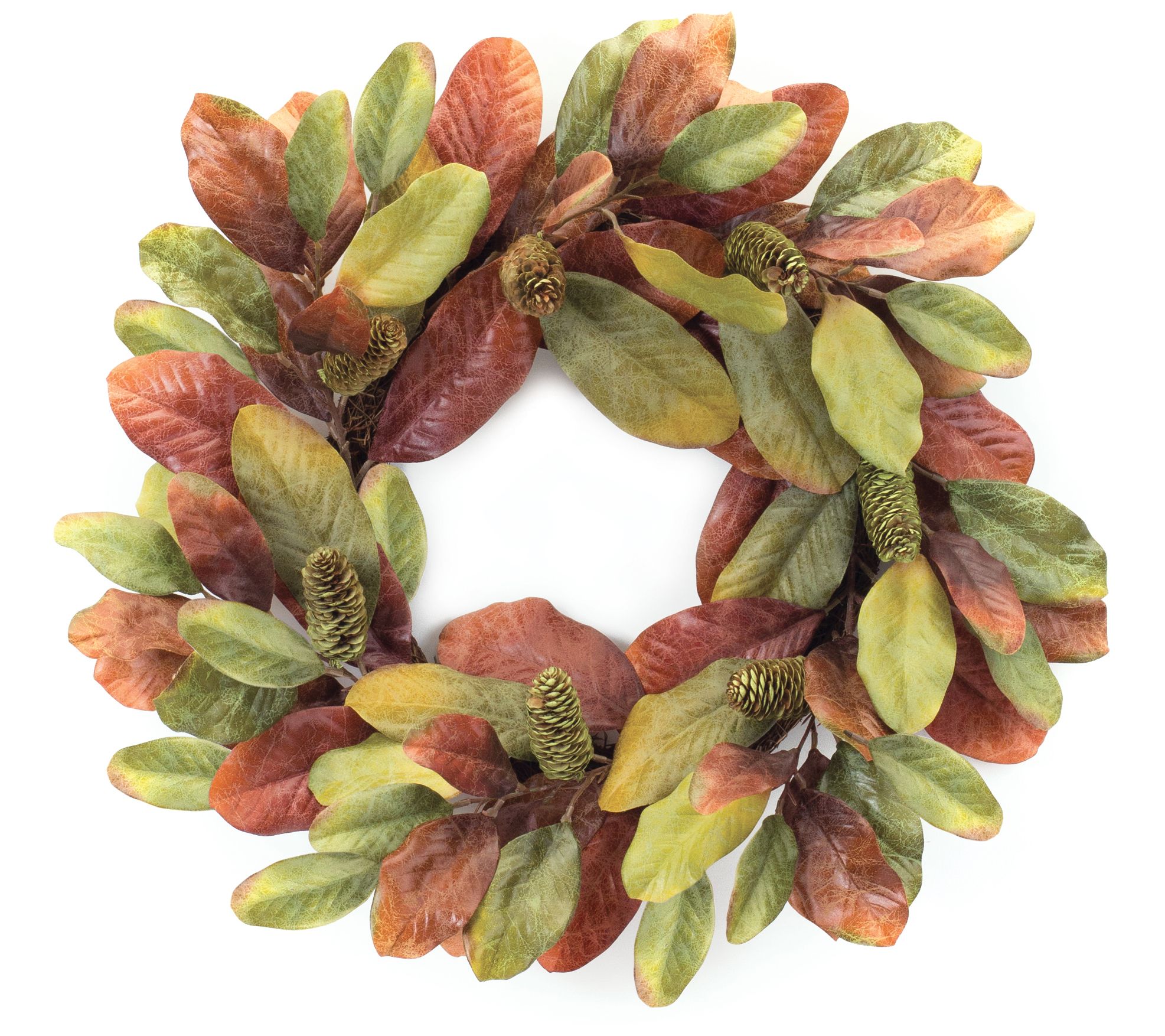 Melrose 24" Fall Magnolia Leaf Wreath - QVC.com