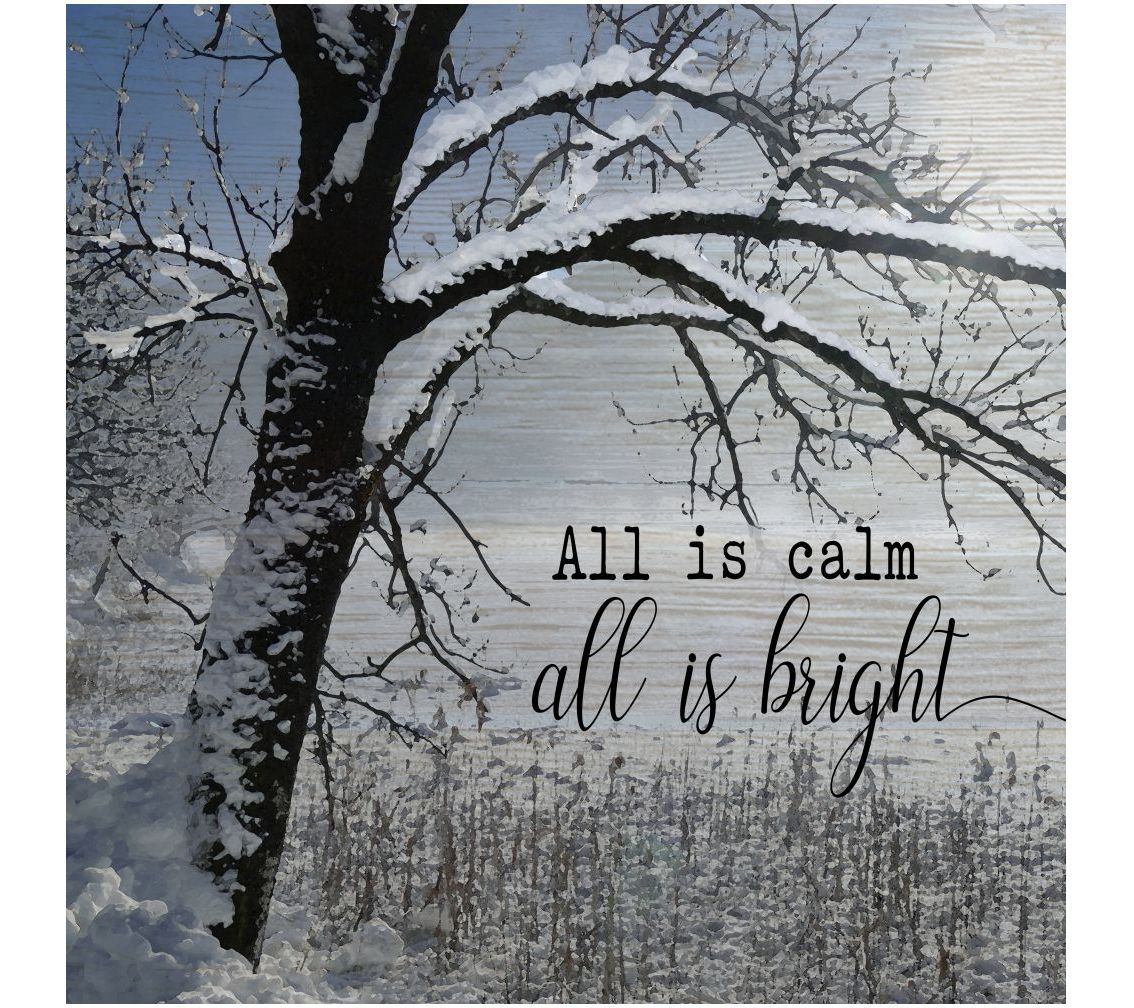 Winter Snow Scene Wall Decor - QVC.com