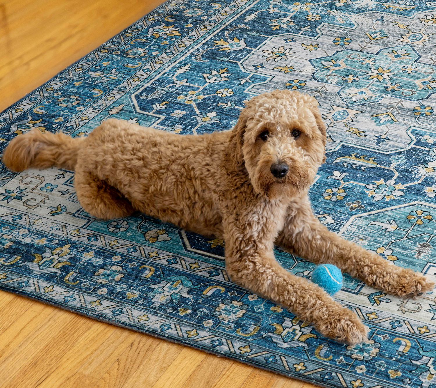 Linon Home Decor Washable Pruitt Teal/Ivory 5'x7' Area Rug - QVC.com