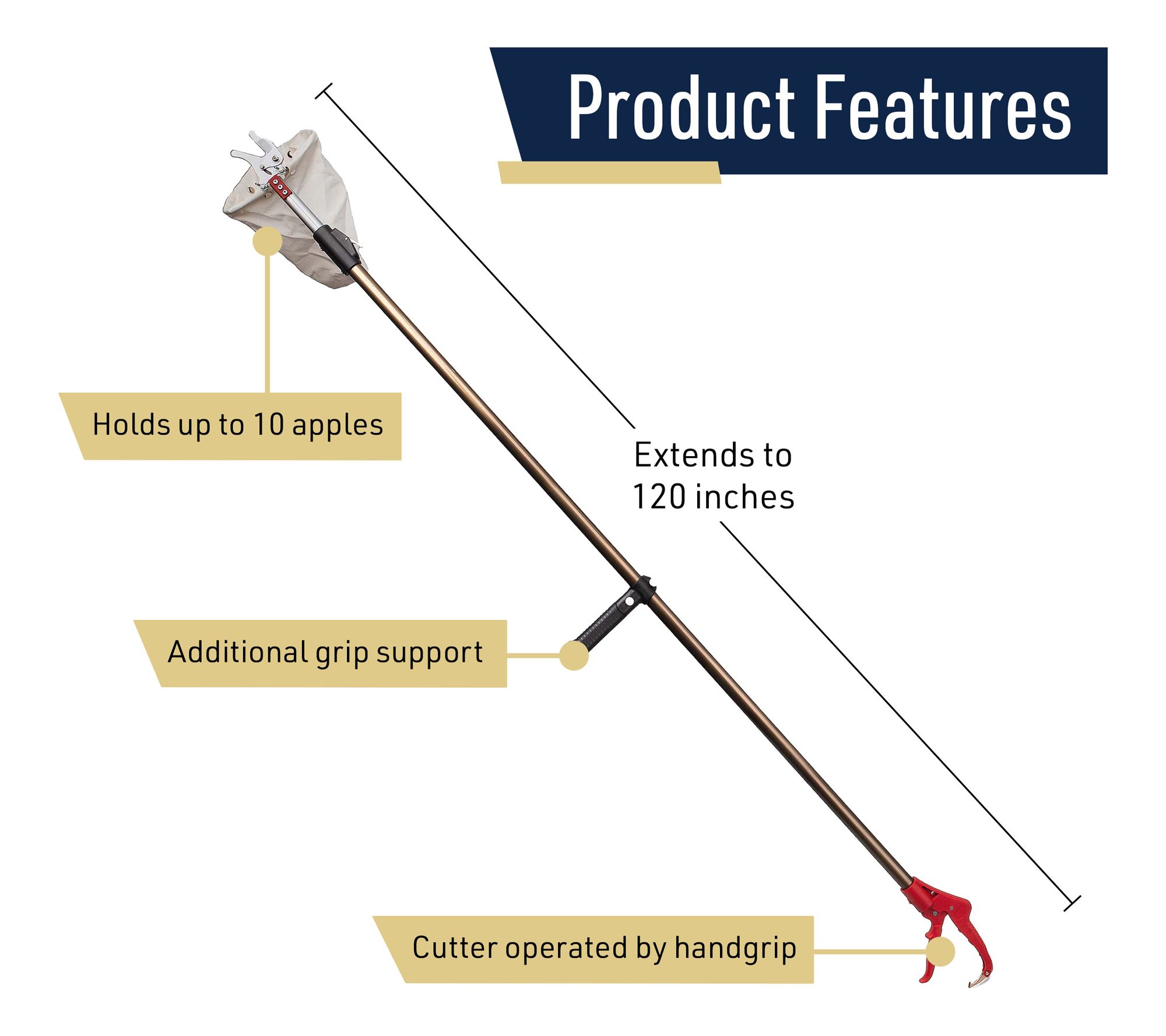 Kings County 10' Fruit Picker Pole with Basket& - QVC.com