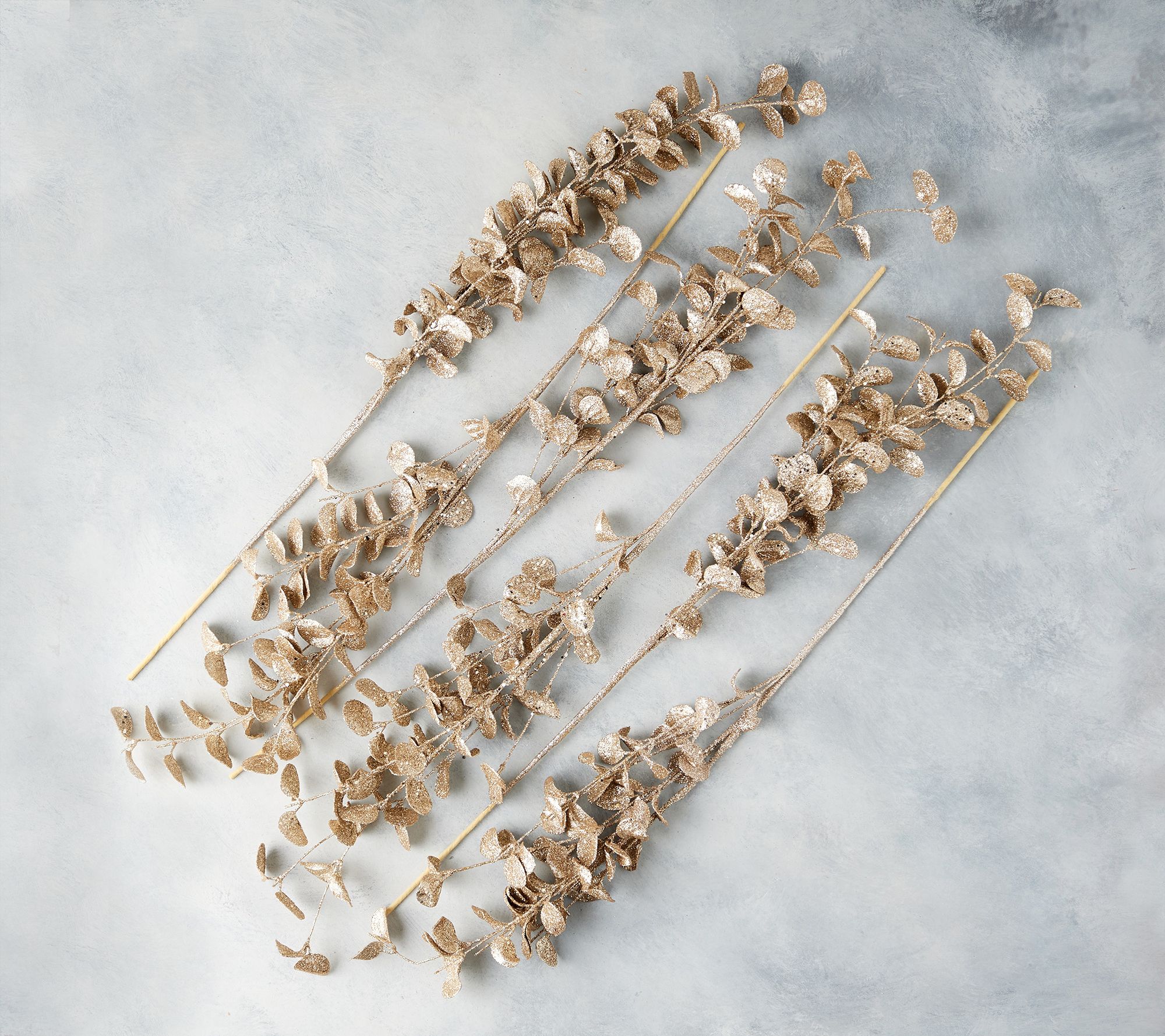 Set of 6 Shimmery Eucalyptus Stems by Valerie - QVC.com