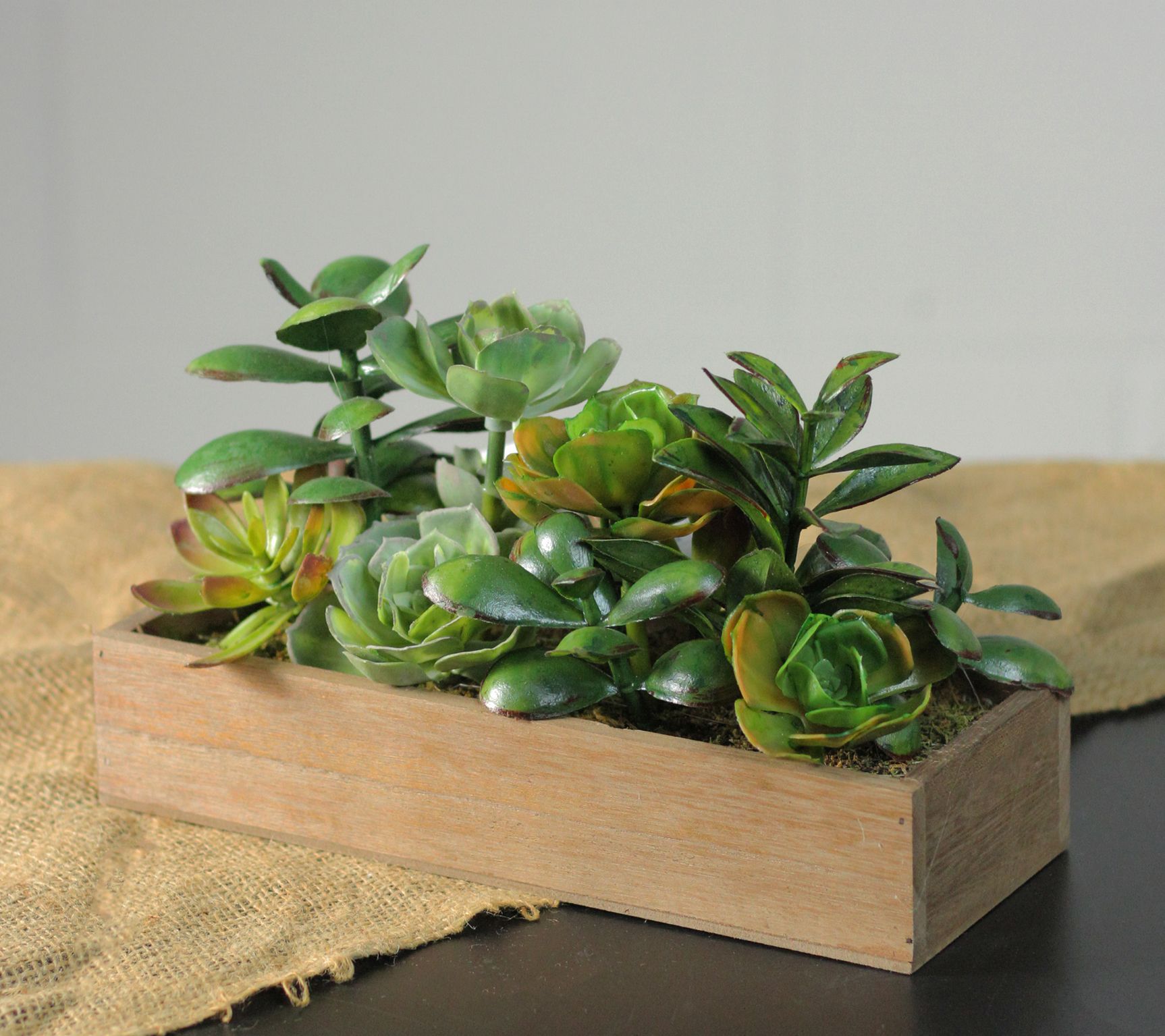 Northlight 11.5" Artificial Succulent Plants inPlanter Box - QVC.com