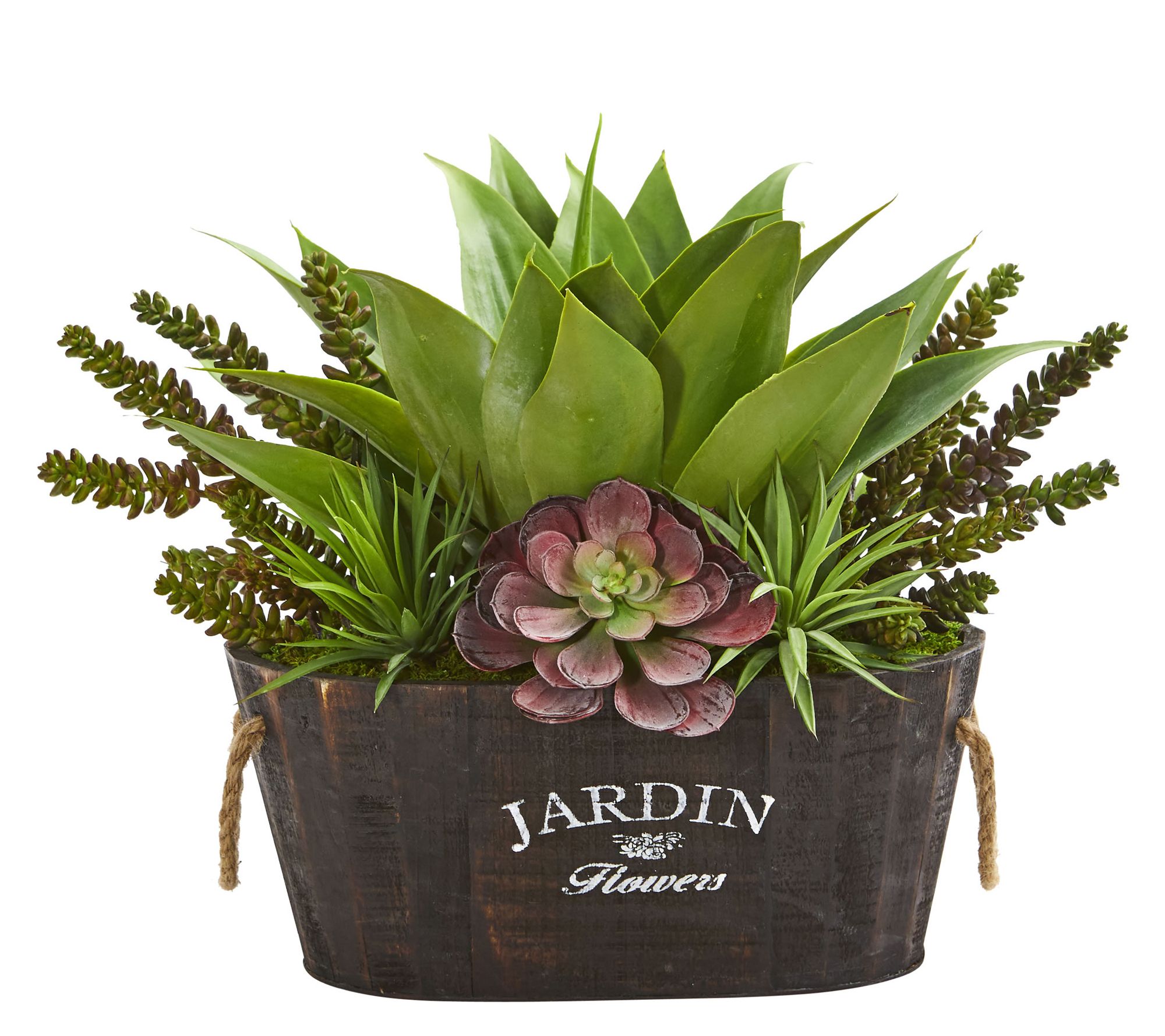 Succulent Garden in Wood Planter by Nearly Natural - QVC.com