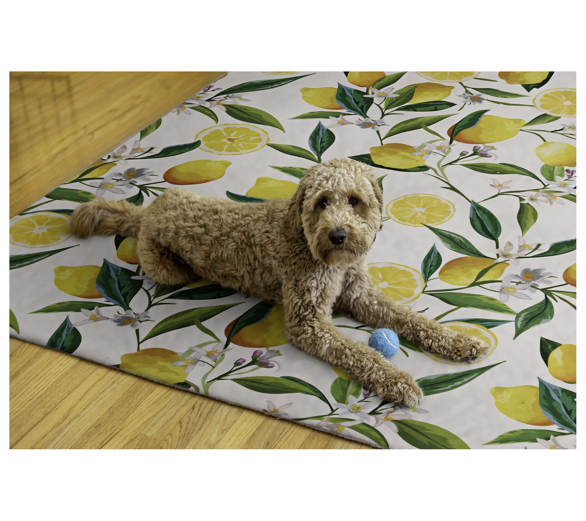 Linon Home Decor Washable Carly Lemon Pattern 5'x7' Area Rug - QVC.com