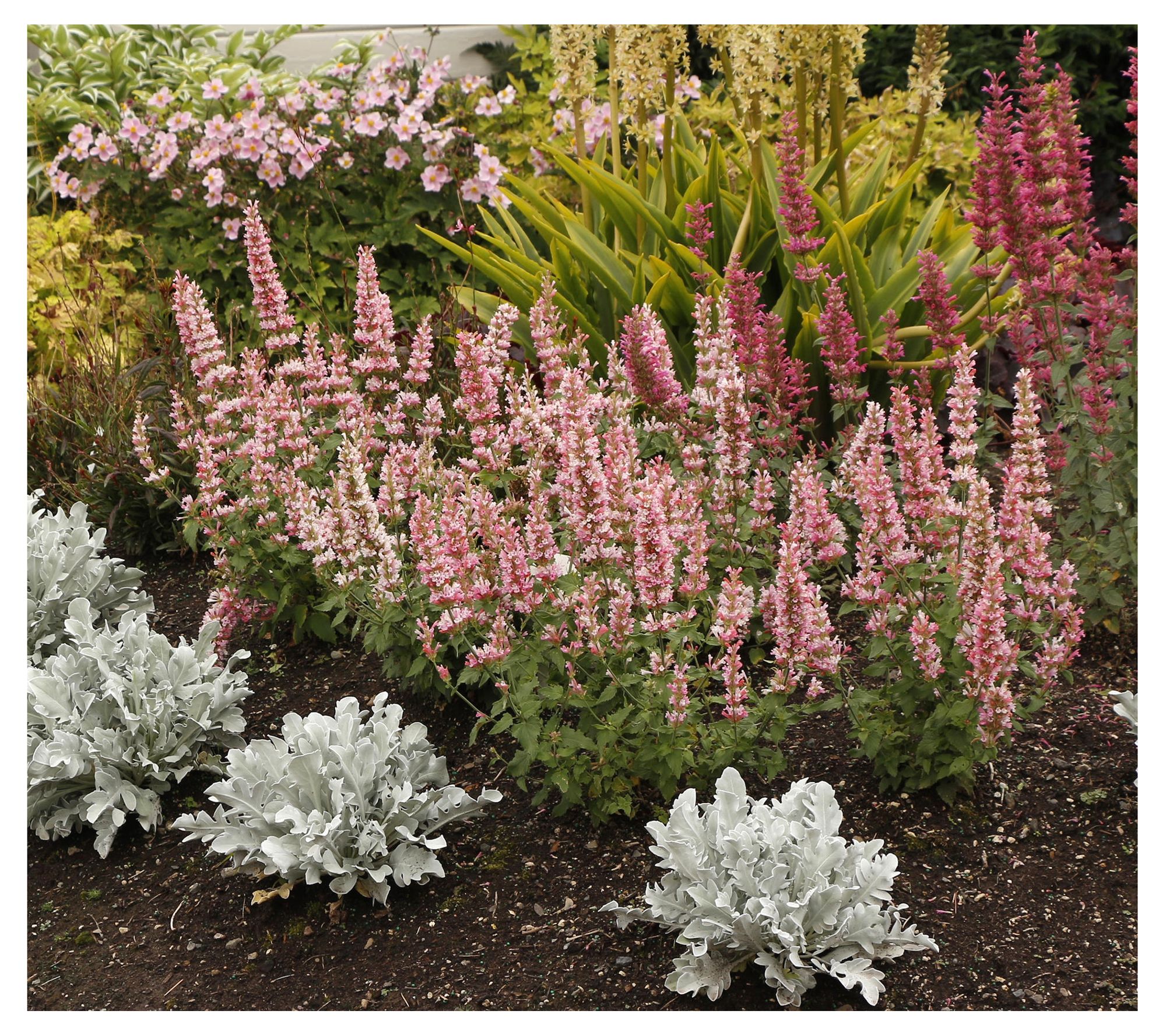 Cottage Farms 3-Piece Hummingbird Mint - QVC.com