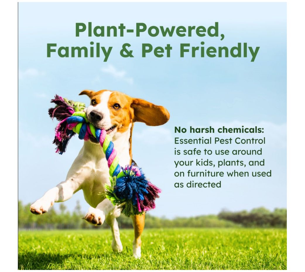 BugMD Eessential Pest Control - Starter Kit - QVC.com