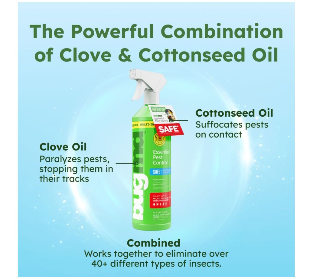 BugMD Eessential Pest Control - Starter Kit - QVC.com