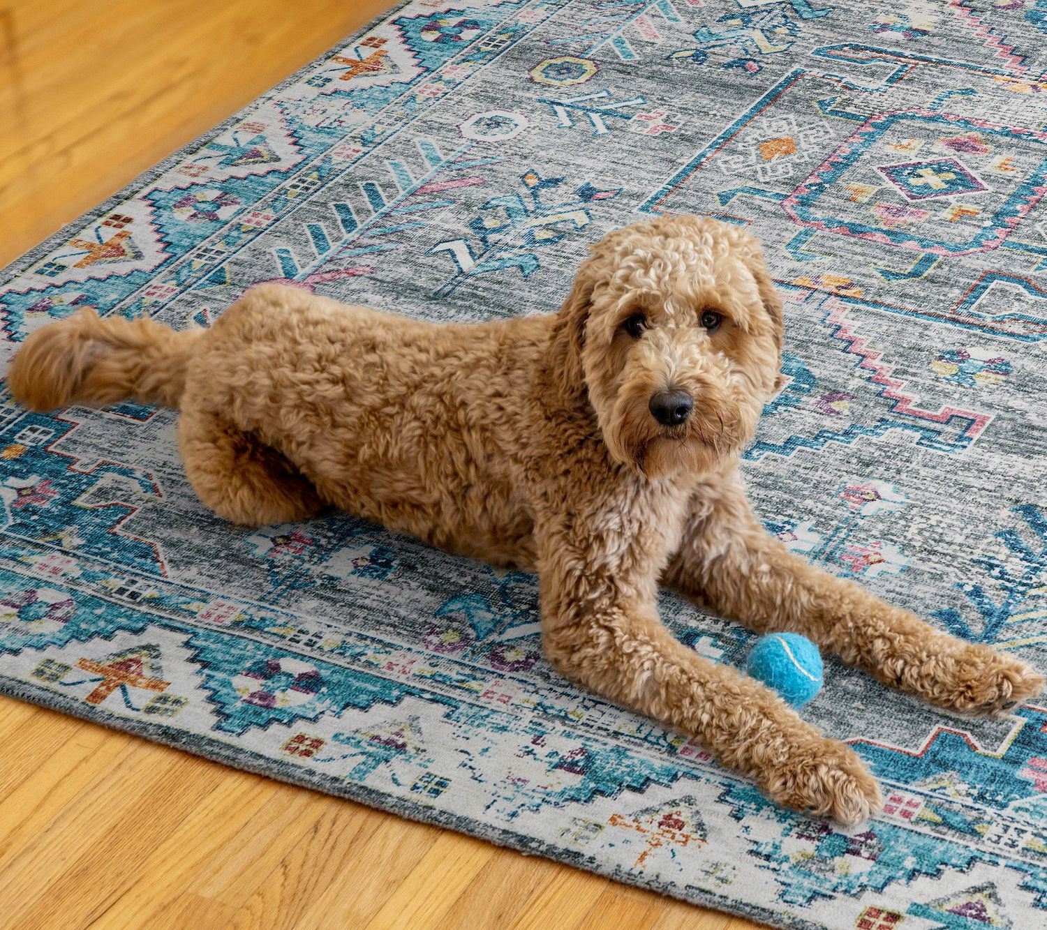 Linon Home Decor Washable Harris Grey/Green 5'x7' Area Rug - QVC.com