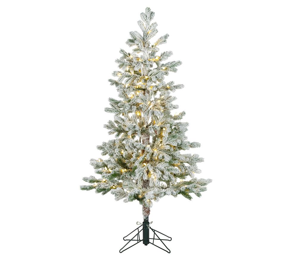 5 ft Pre Lit Clear LED Flocked Sparse Rainier Pine by Sterling - QVC.com