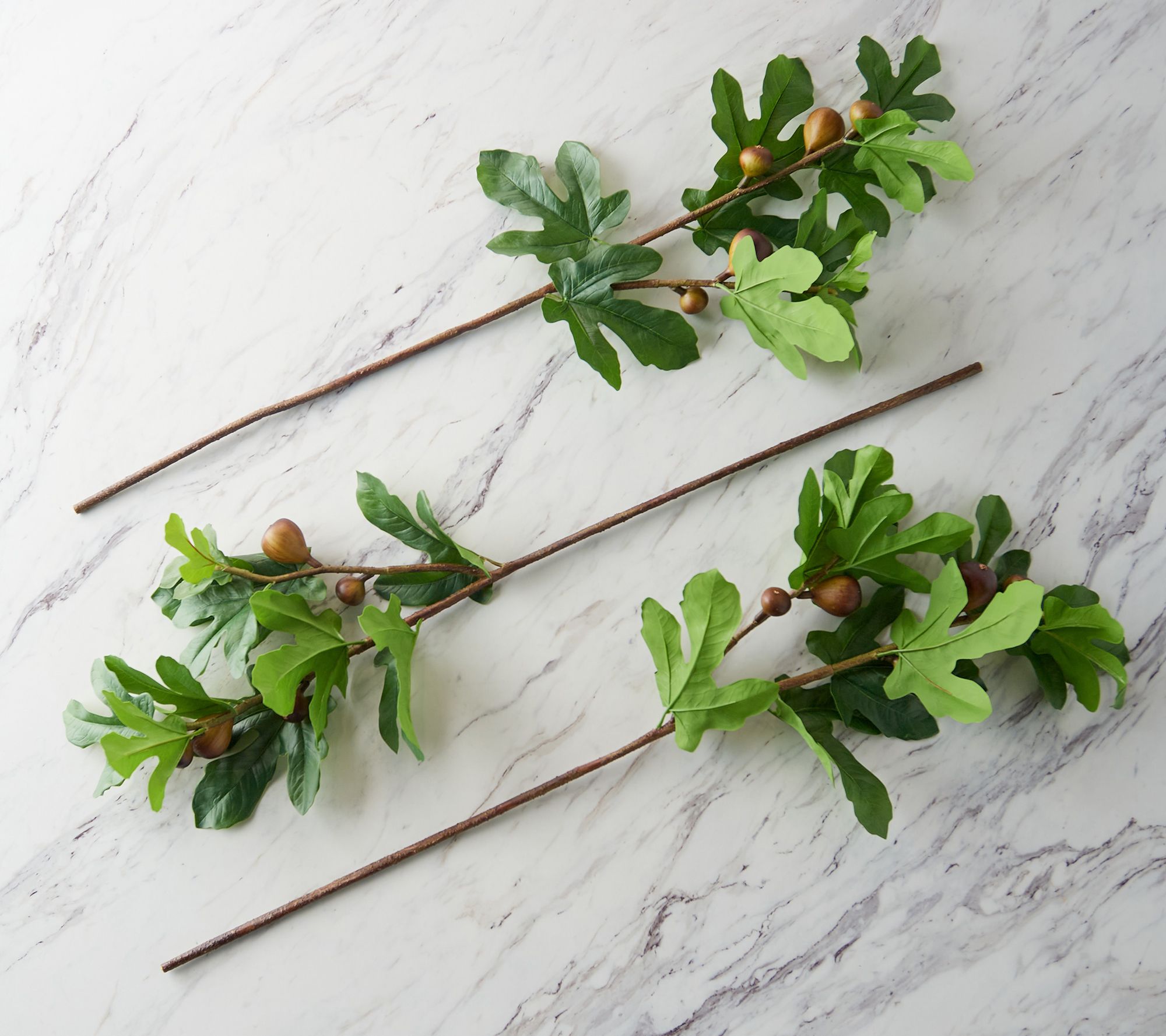 "As Is" House No. 9 by Home Love Set of 3 Faux Fig Stems - QVC.com