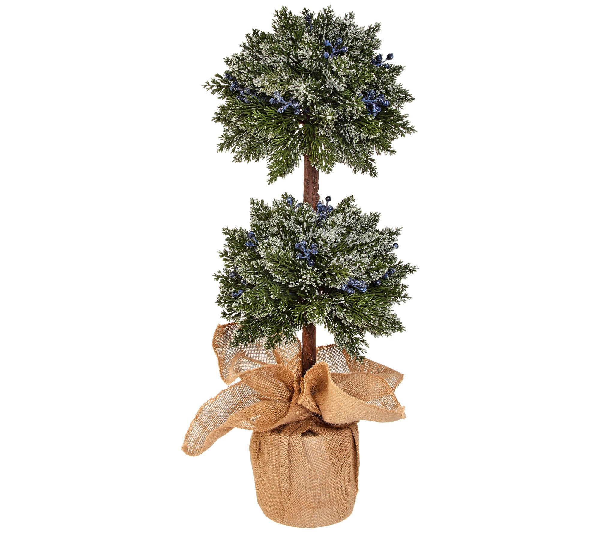27" Frosty Cedar Blueberry Double Topiary by Valerie - QVC.com