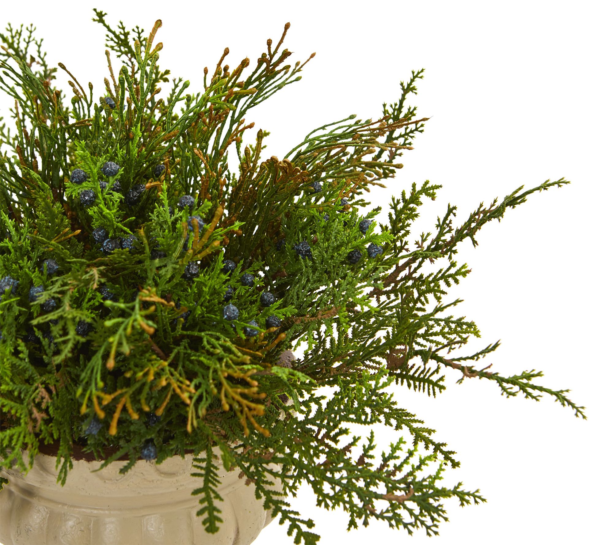 15" Cedar and Blueberry with Planter by NearlyNatural - QVC.com