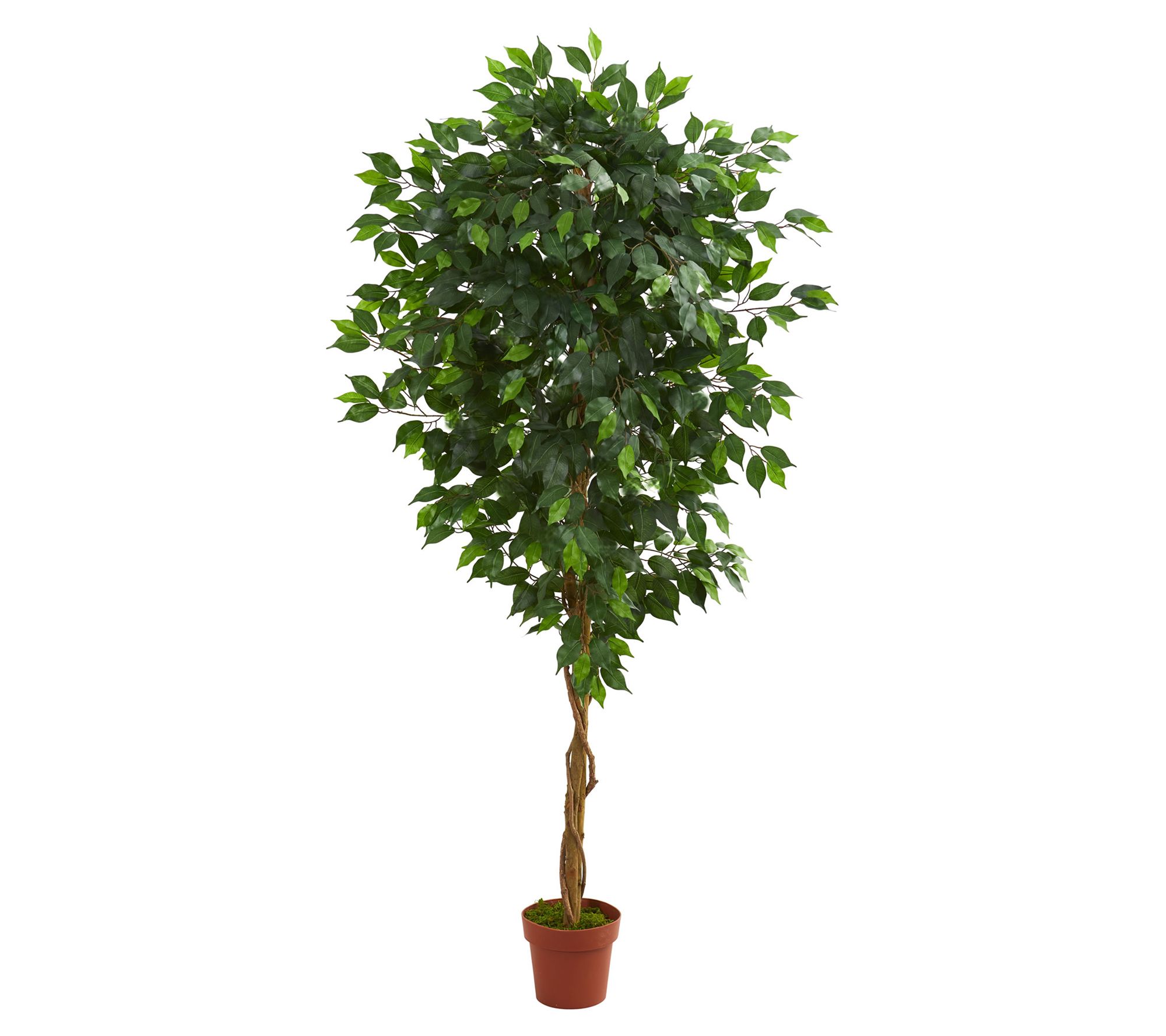 Nearly Natural 6' Ficus Artificial Tree - QVC.com