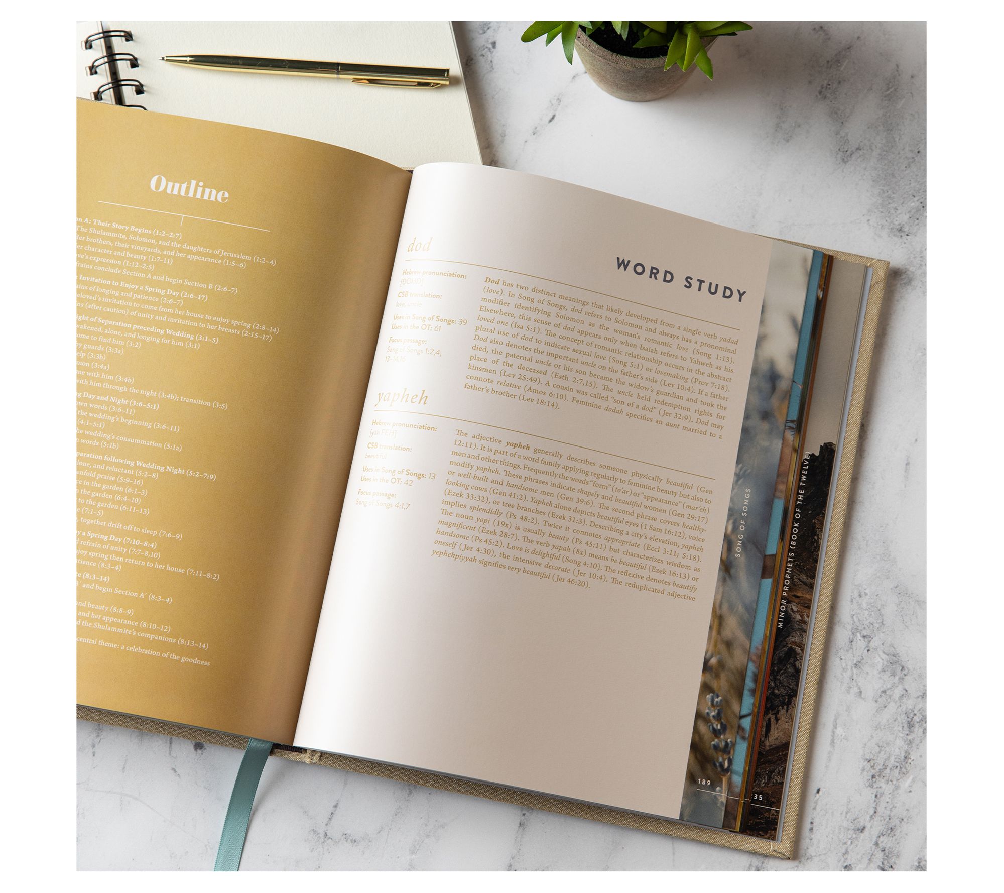 Lifeway CSB Old Testament In-Depth Companion Bible Handbook - QVC.com