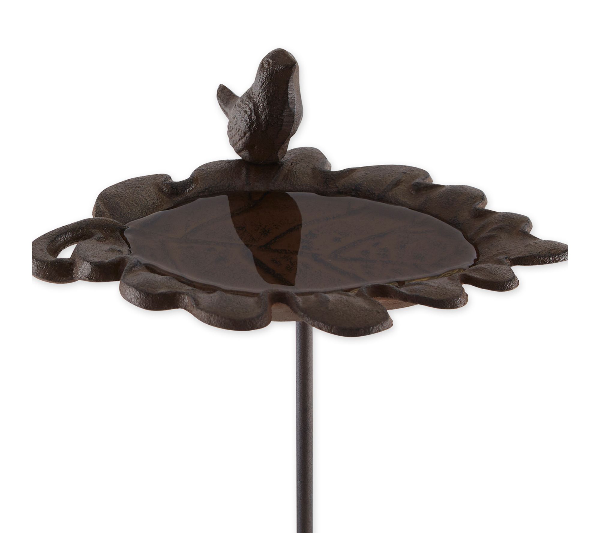 Zingz & Thingz Aspen Leaf with Bird Birdbath - QVC.com