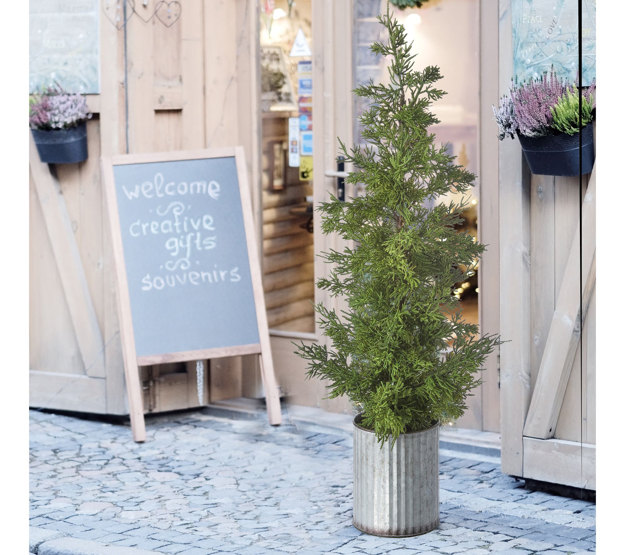 Mini Cedar Tree in Galvanized Pot 26" by Valerie - QVC.com