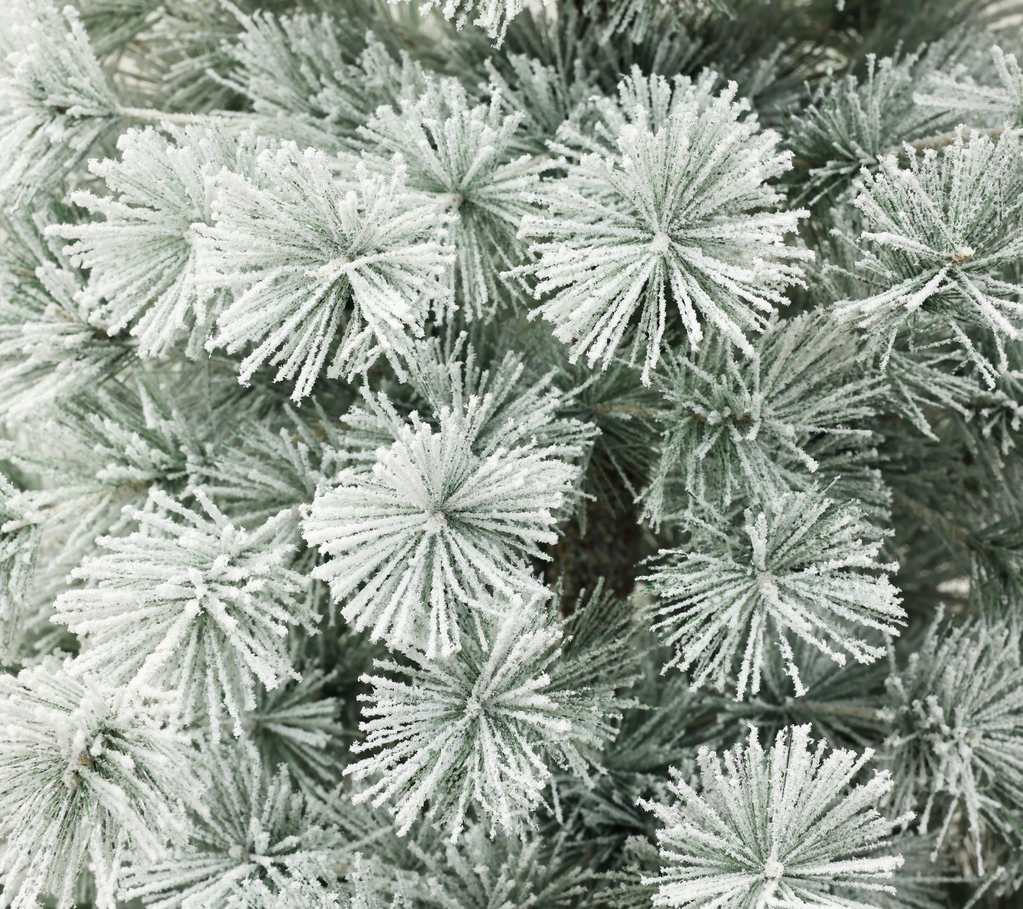 LuxenHome 5.5Ft Flocked Full Artificial Christmas Tree Potted - QVC.com