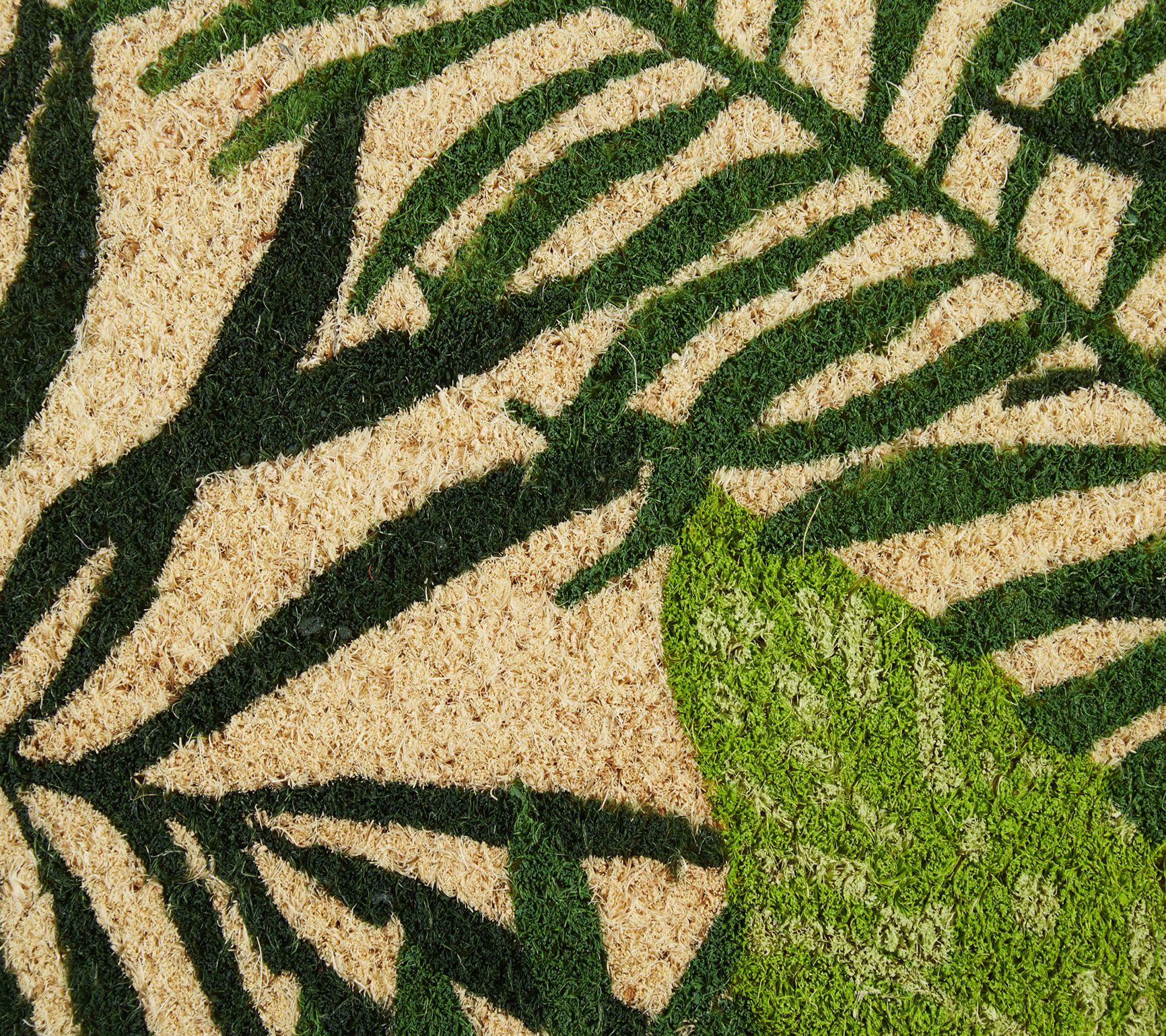 Design Imports Tropical Fronds 17" x 29" Doorma t - QVC.com