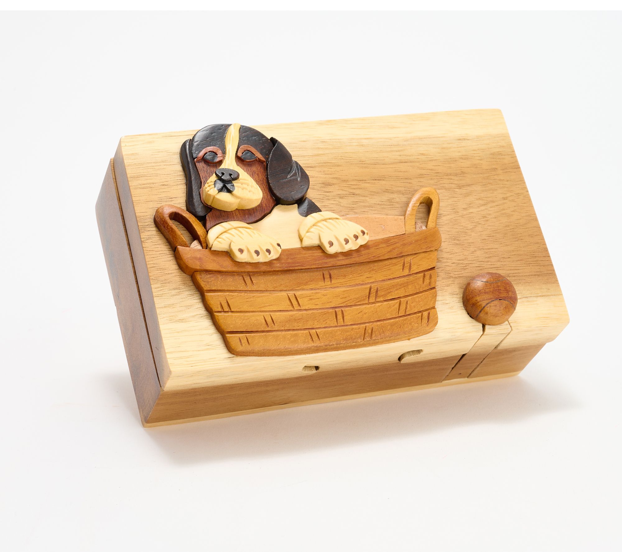 Carver Dan's Dog Play Puzzle Box - QVC.com