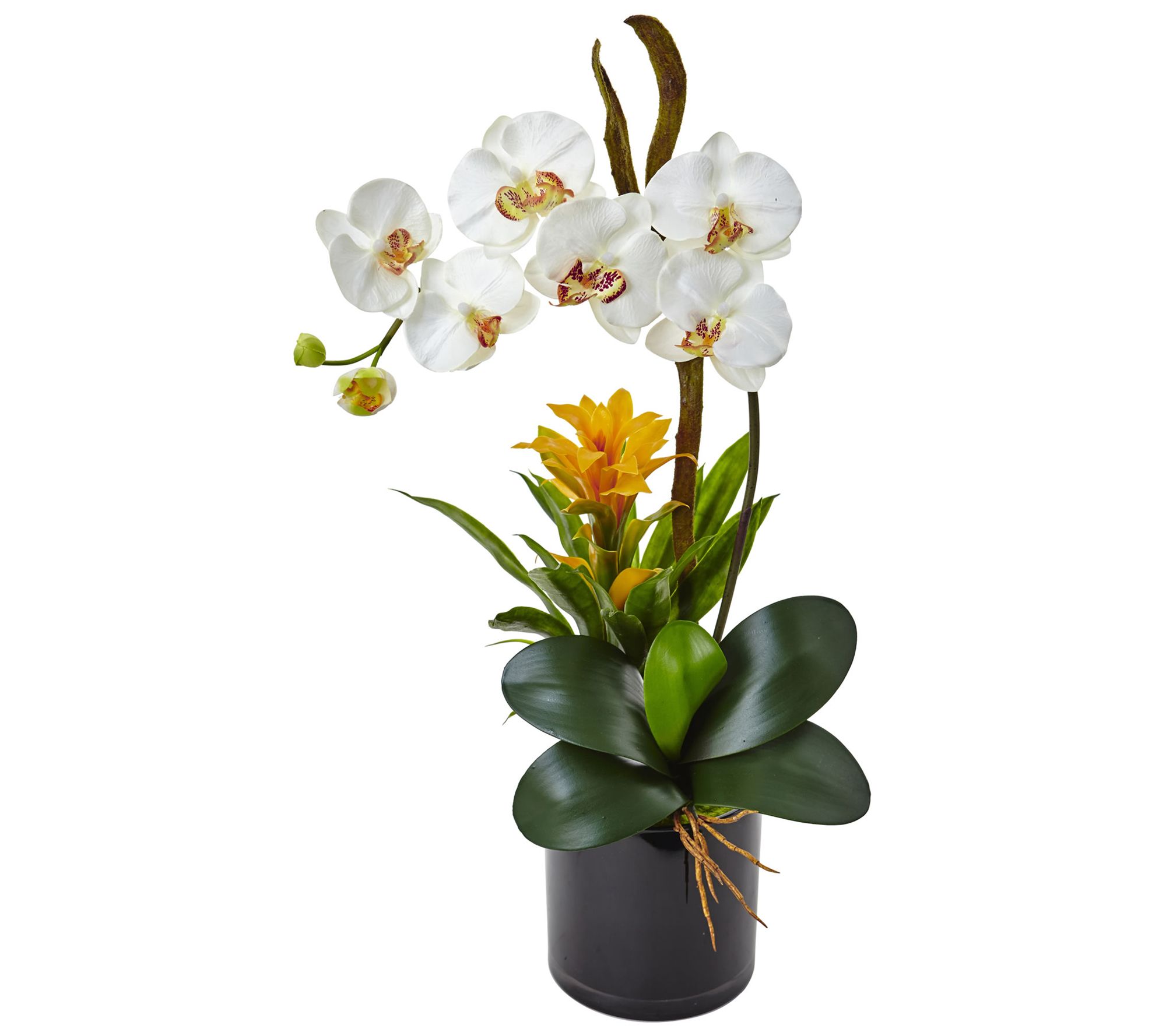 Orchid and Bromeliad Arrangement by Nearly Natural - QVC.com