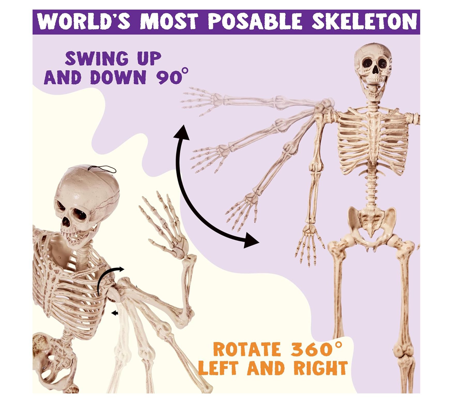 Syncfun 5.6 FT Halloween Posable Body Skeleton - QVC.com