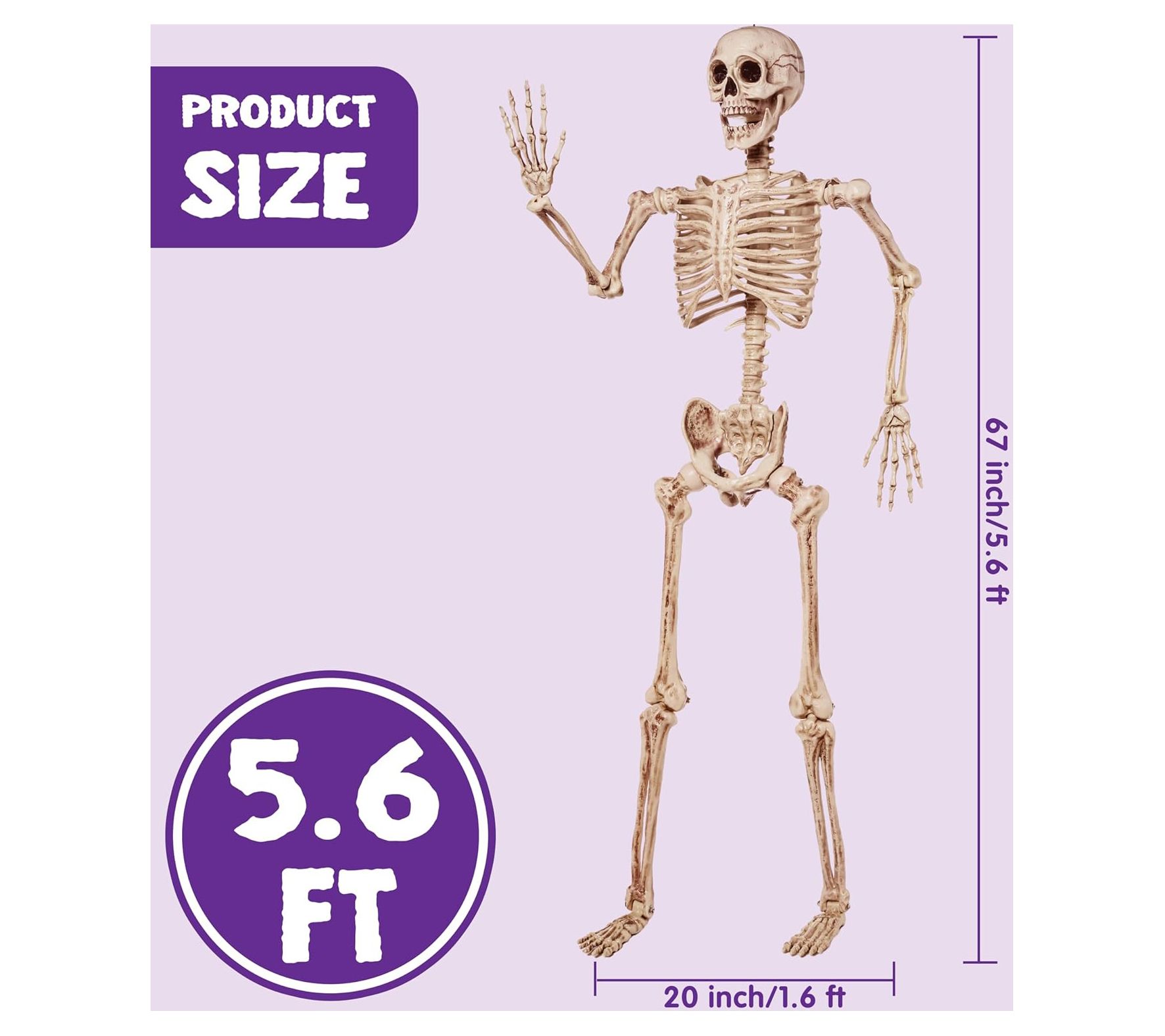 Syncfun 5.6 FT Halloween Posable Body Skeleton - QVC.com
