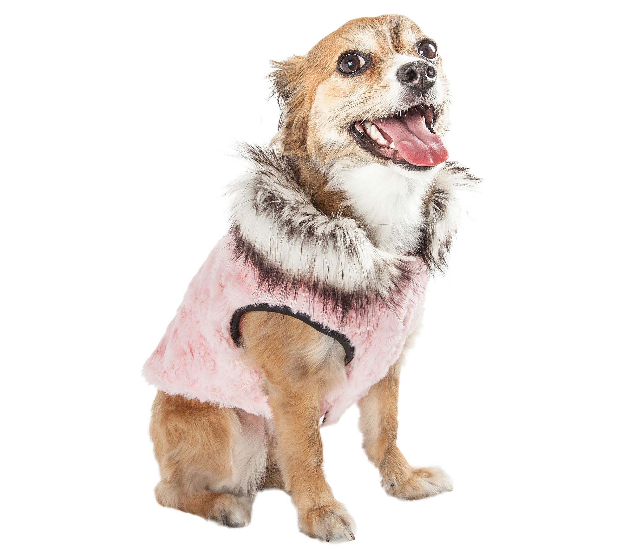 Pet Life Luxe 'Pinkachew' Mink Fur Dog Coat Jacket - QVC.com
