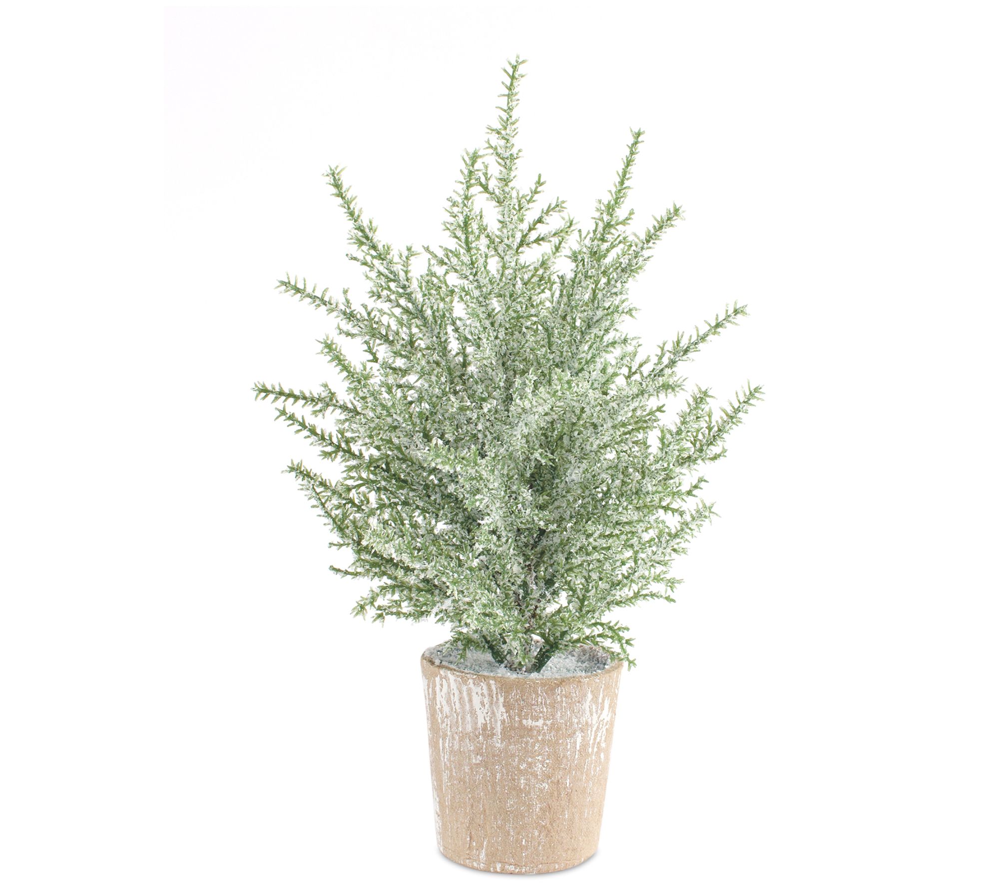 Melrose Frosted Holiday Pine Tree in Paper PotSet of 6) - QVC.com