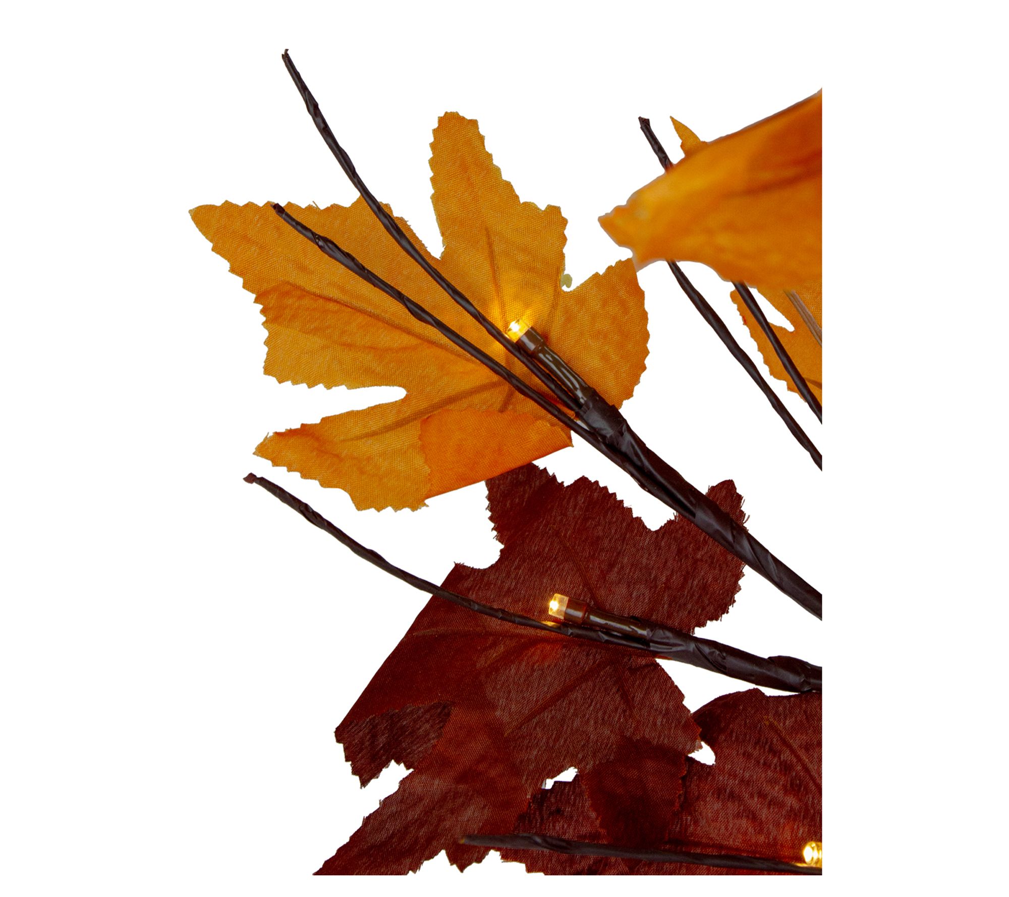 Northlight 2' Pre-Lit LED Brown Maple Tree- Cle ar Ligh - QVC.com