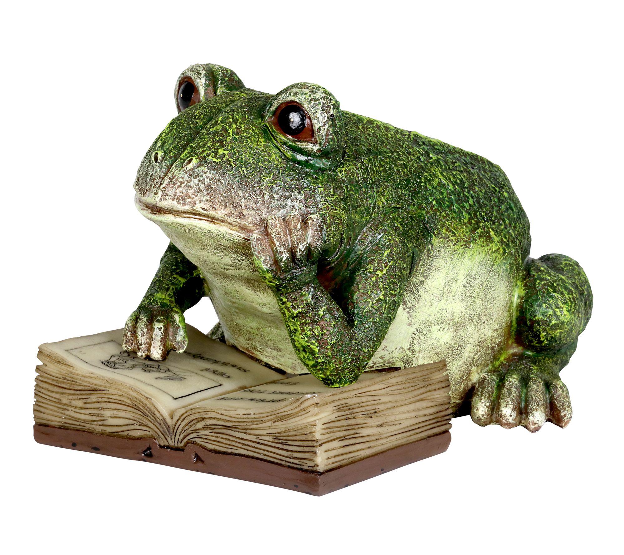 Solar Reading Frog Reading Book by Exhart - QVC.com