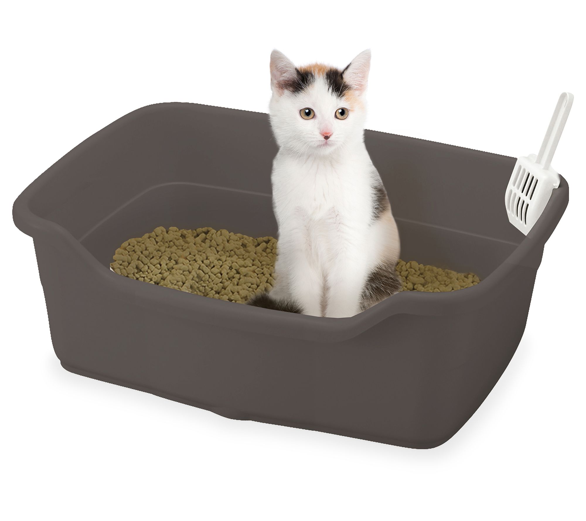 Richell PAW TRAX Wide Cat Litter Pan with Scoop - QVC.com