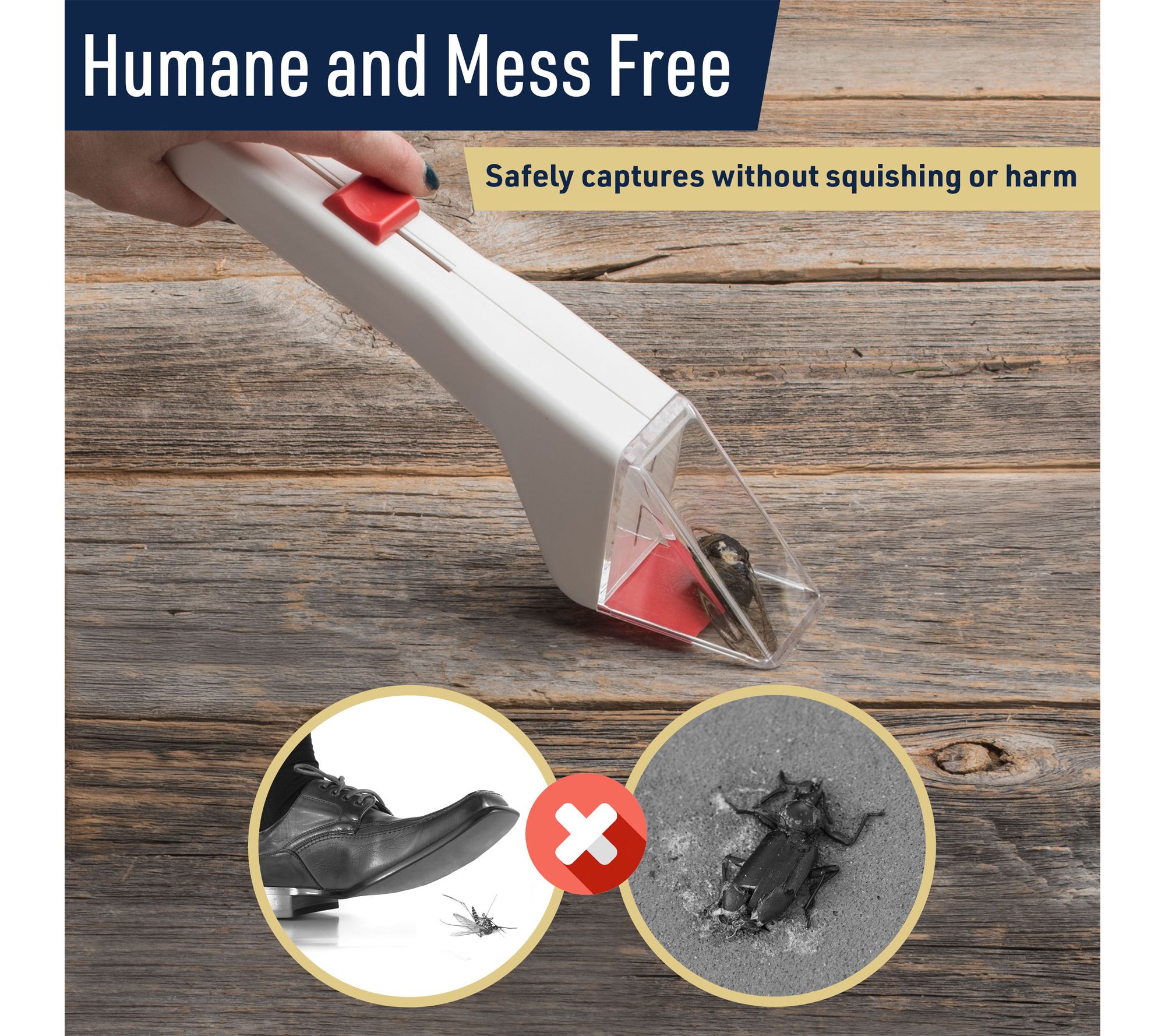 Kings County Hu mane Bug Catche r Tool Handheld Bug Grabber To - QVC.com