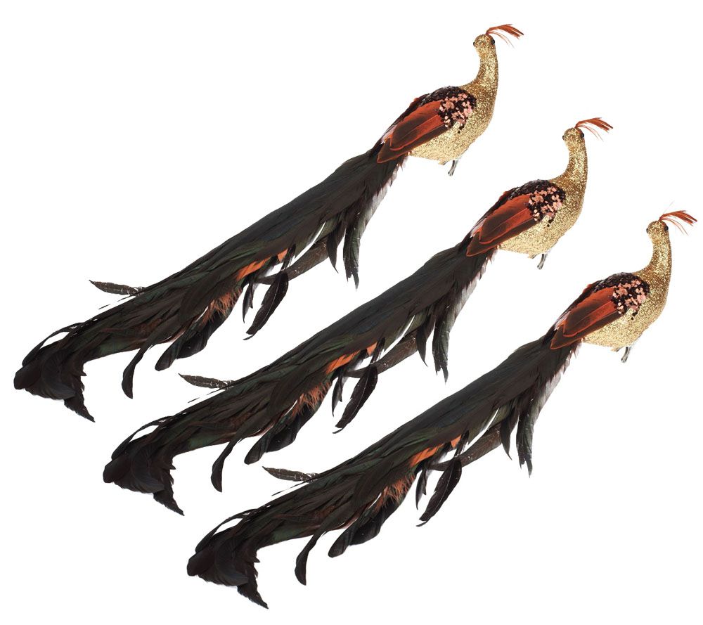 "As Is" 3 Pc. Embellished Regal Peacock Clips - QVC.com