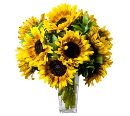 Mahogany Sunflowers with Contempo Vase by ProFlowers - QVC.com