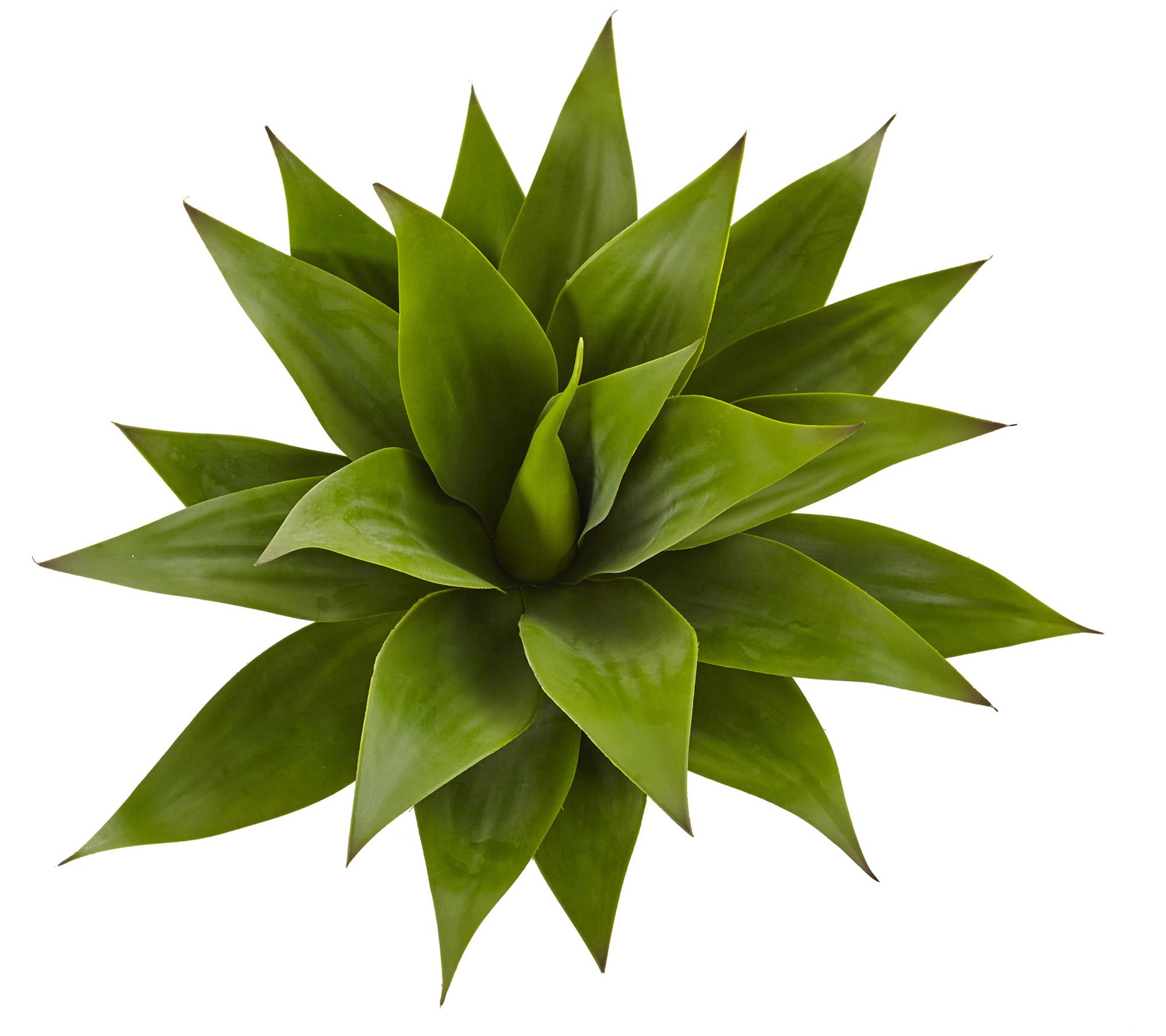 32" Agave Plant with Stem by Nearly Natural - QVC.com