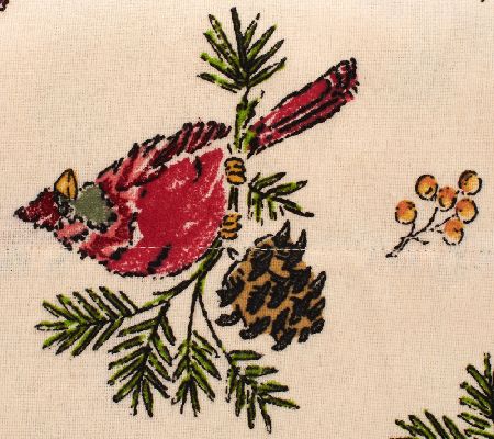 Northern Nights 100% Cotton Cardinal Flannel Sheet Set - QVC.com