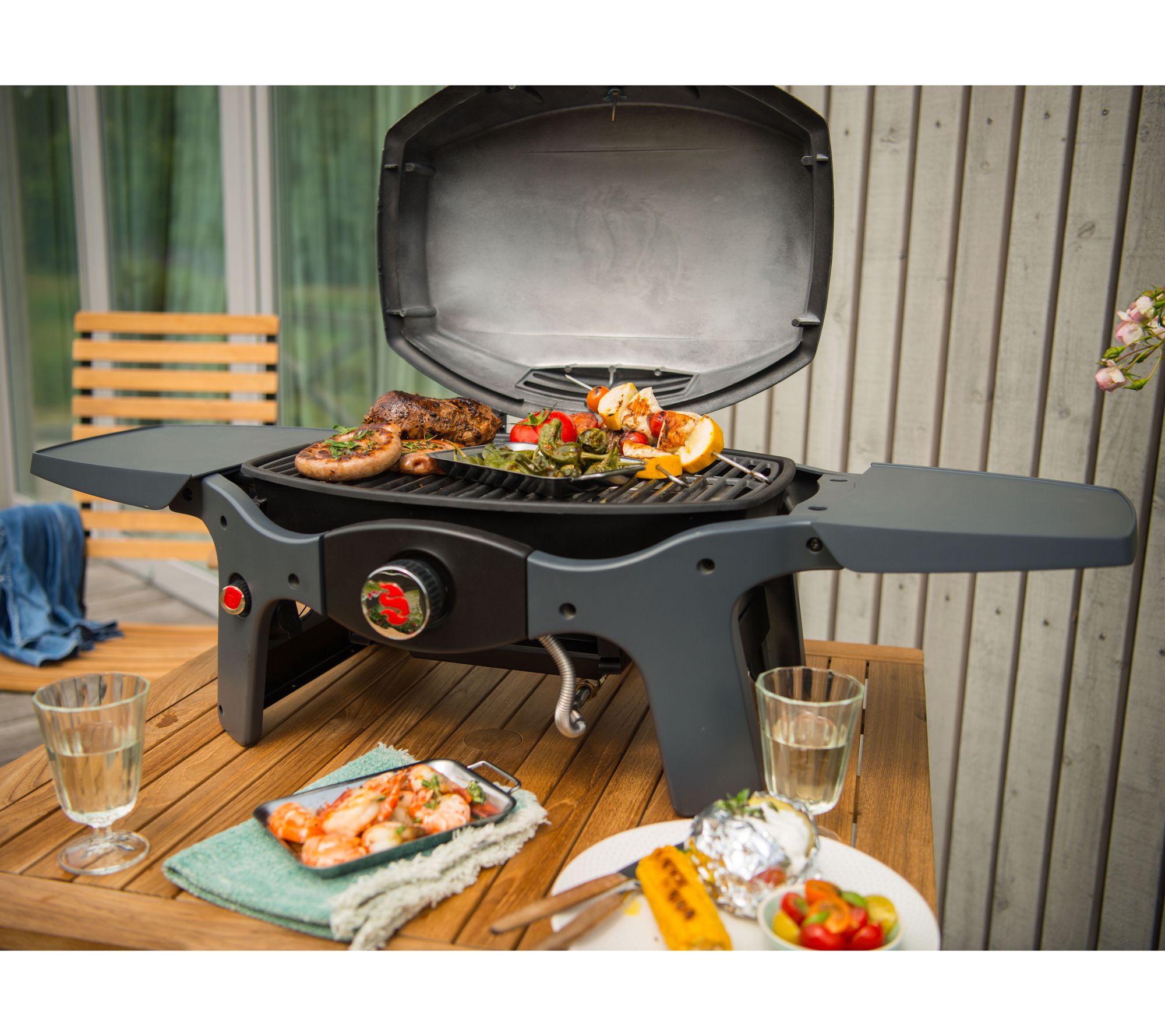 Landmann Pantera 1.0 Portable Gas Grill - QVC.com