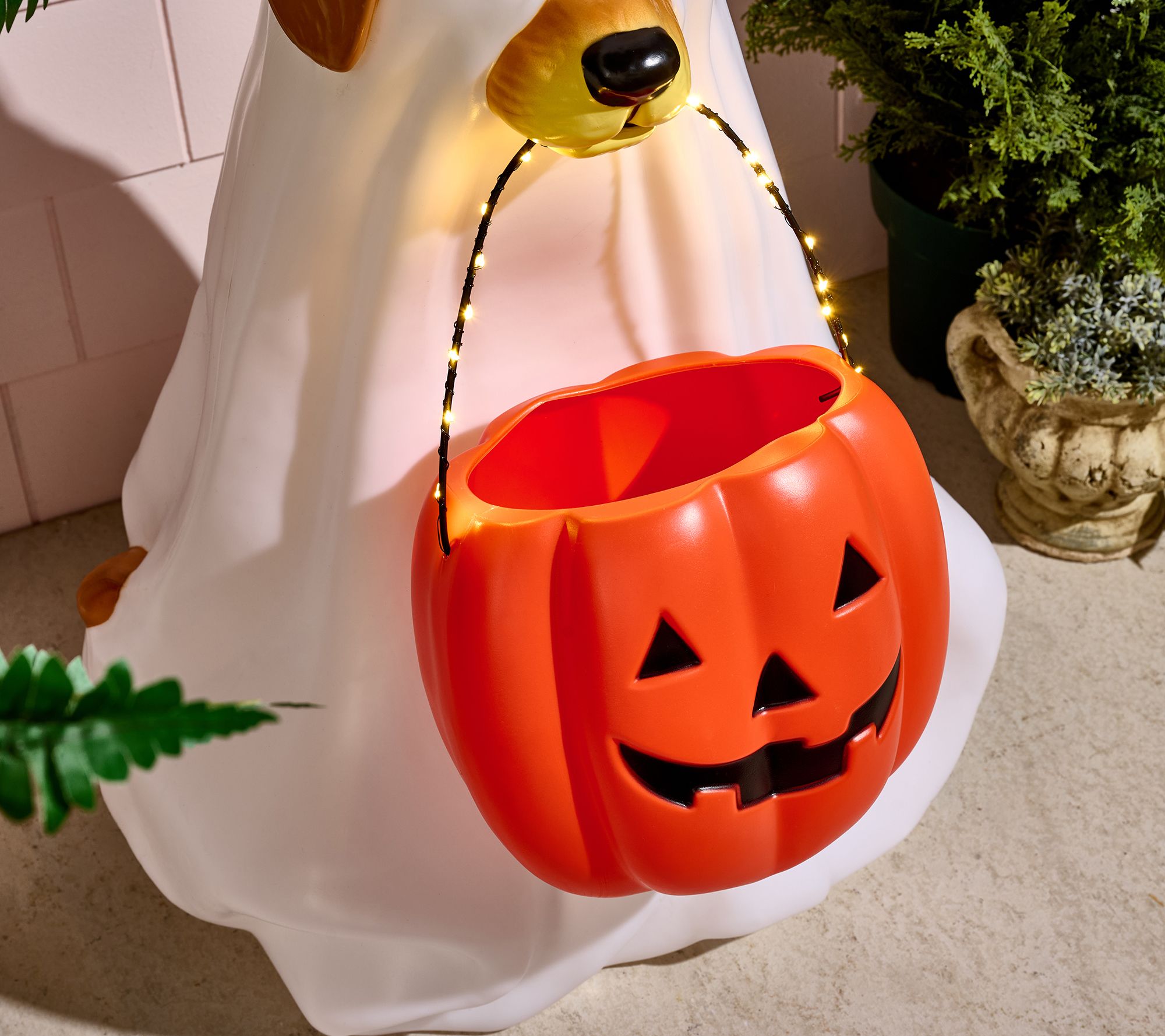 Bethlehem Lights 28" Illuminated Halloween Dog with Basket - QVC.com