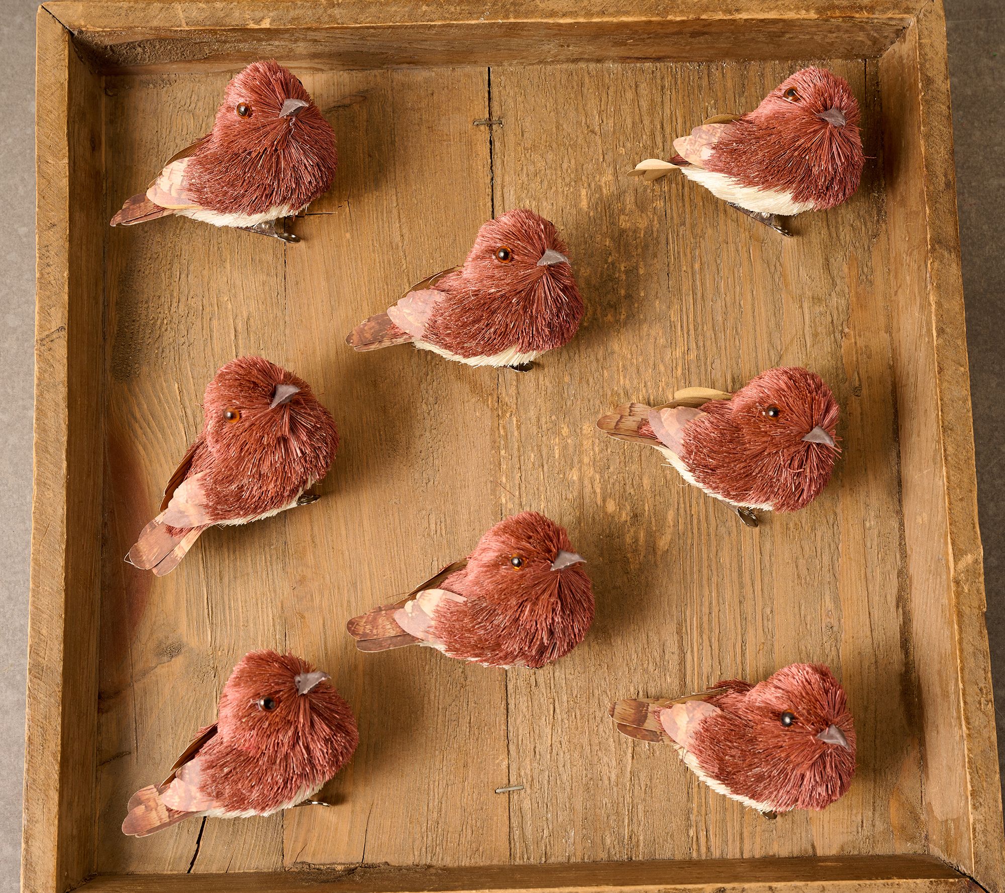 Set of 8 Harvest Sisal Bird Clips by Valerie - QVC.com