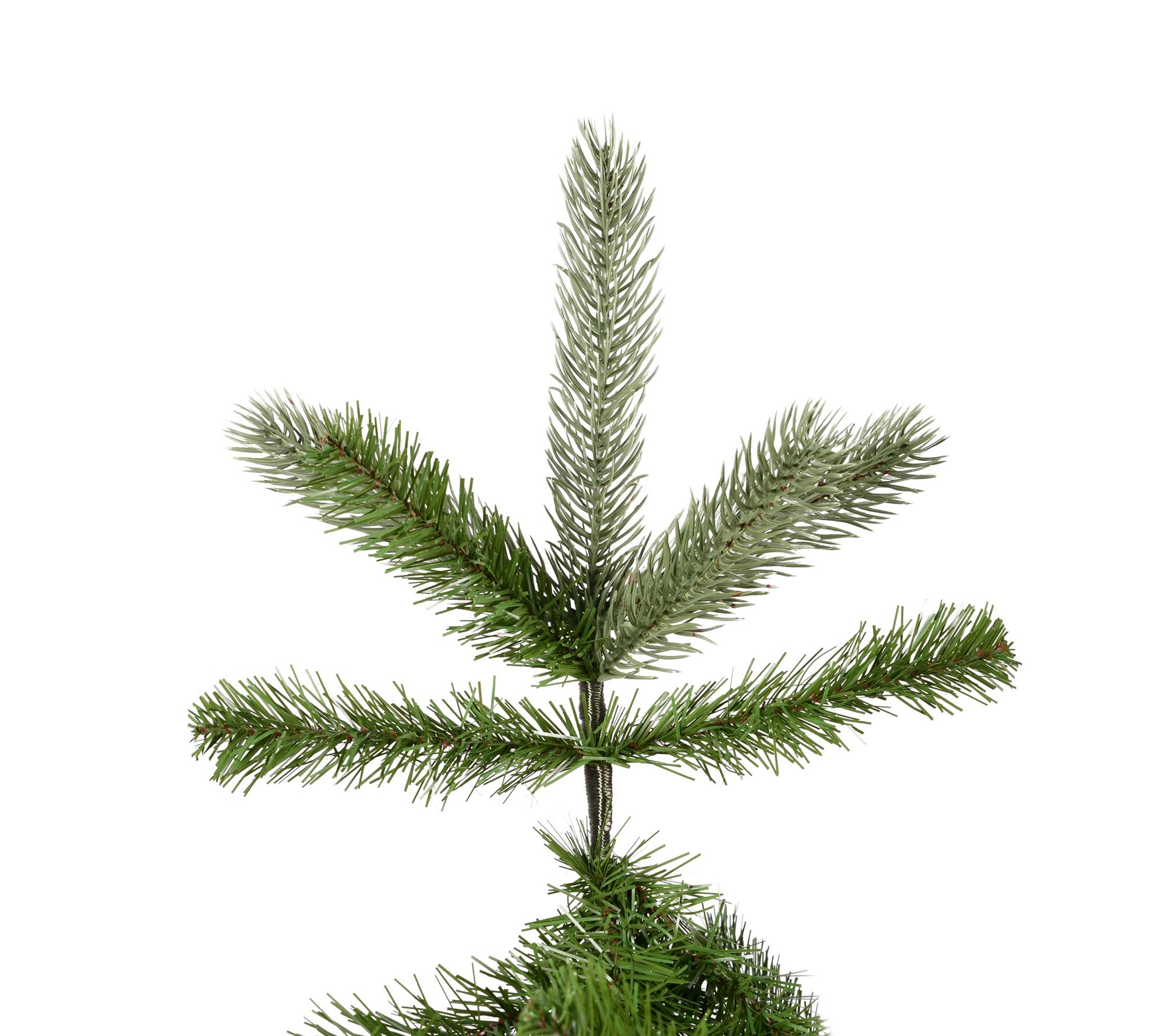 Vickerman 5.5' x 41" King Spruce 554T Tree - QVC.com