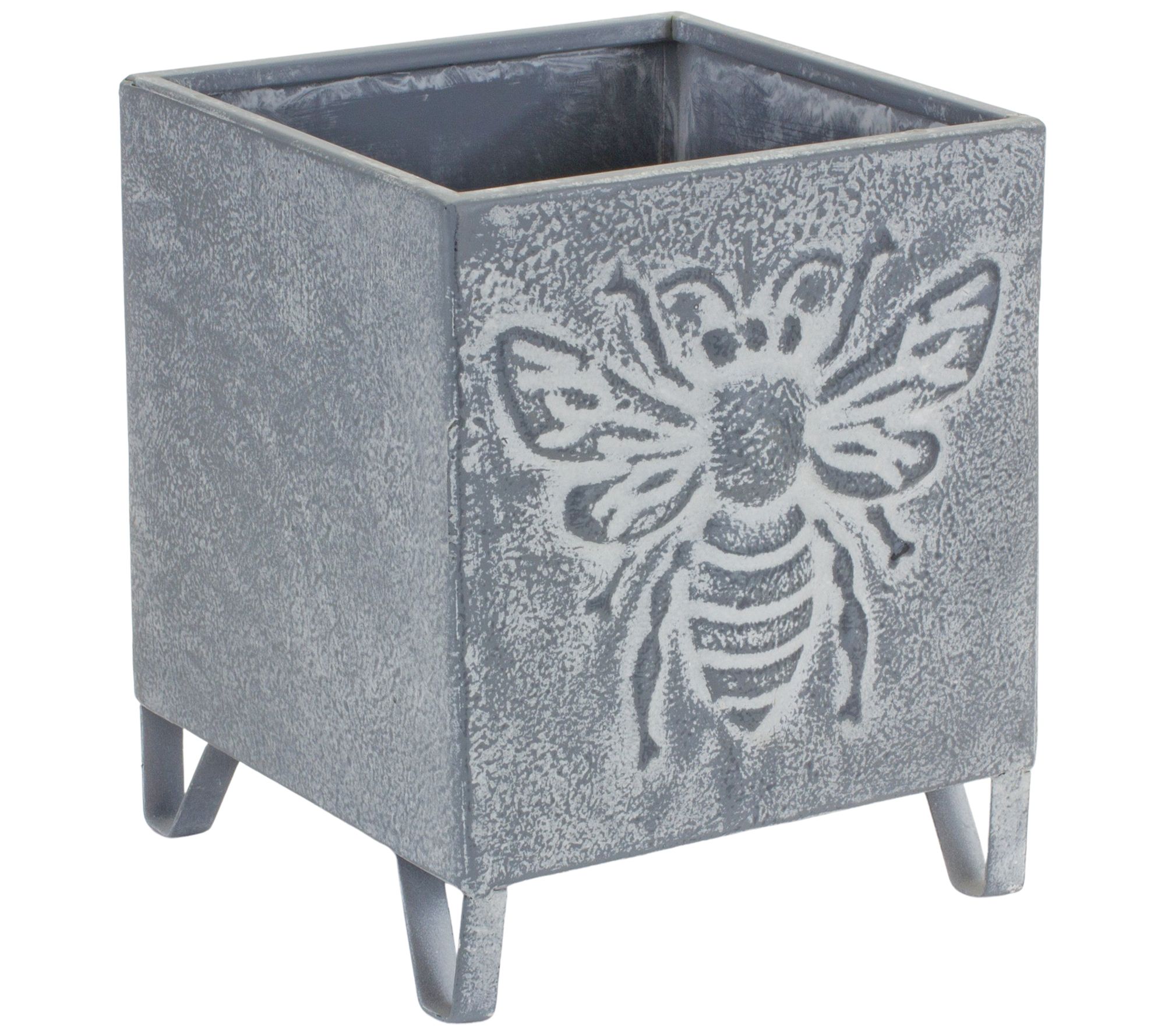 Melrose Galvanized Insect Planter (Set of 2) - QVC.com
