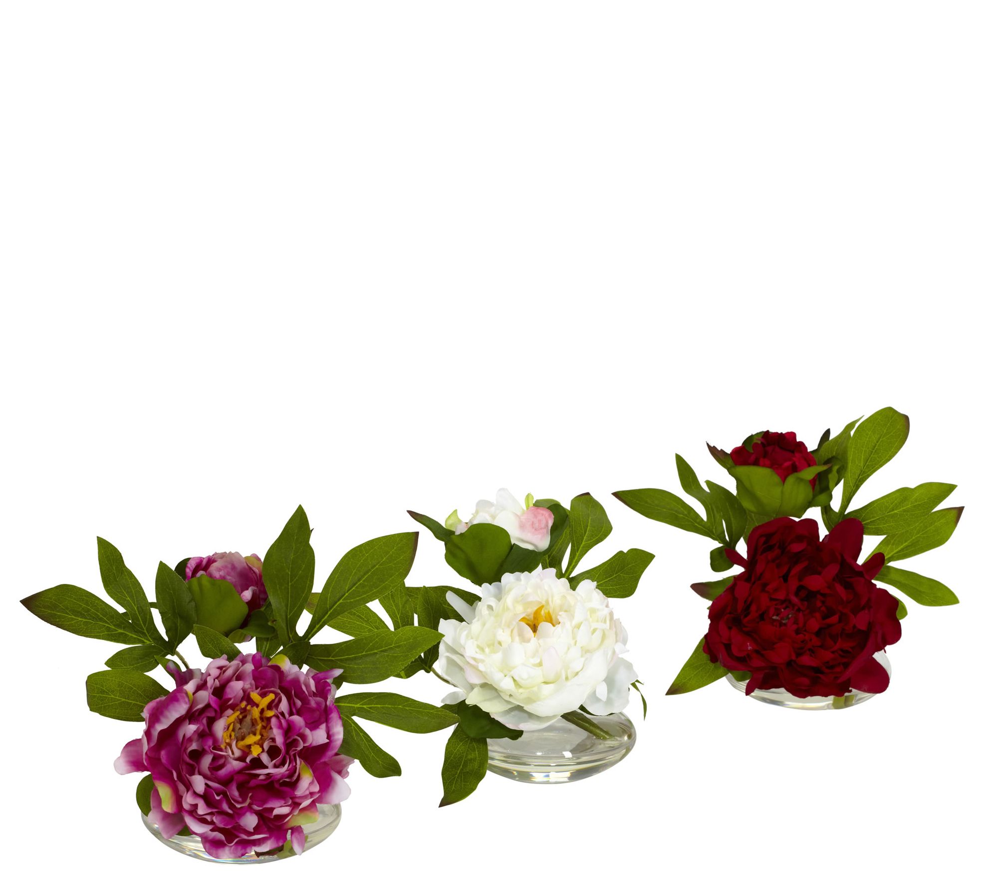 Peony with Glass Vase Set of 3 by Nearly Natural - QVC.com