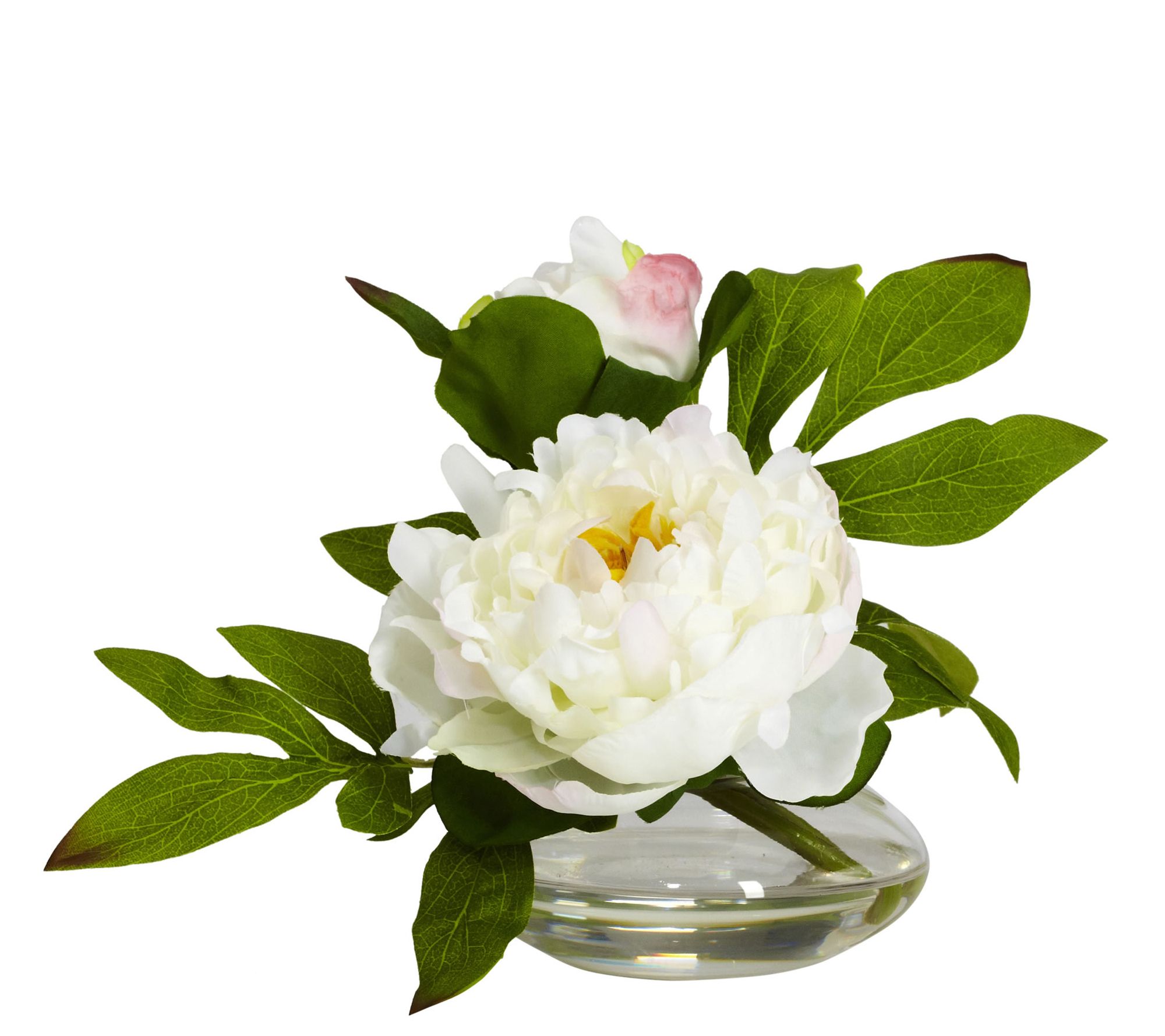 Peony with Glass Vase Set of 3 by Nearly Natural - QVC.com