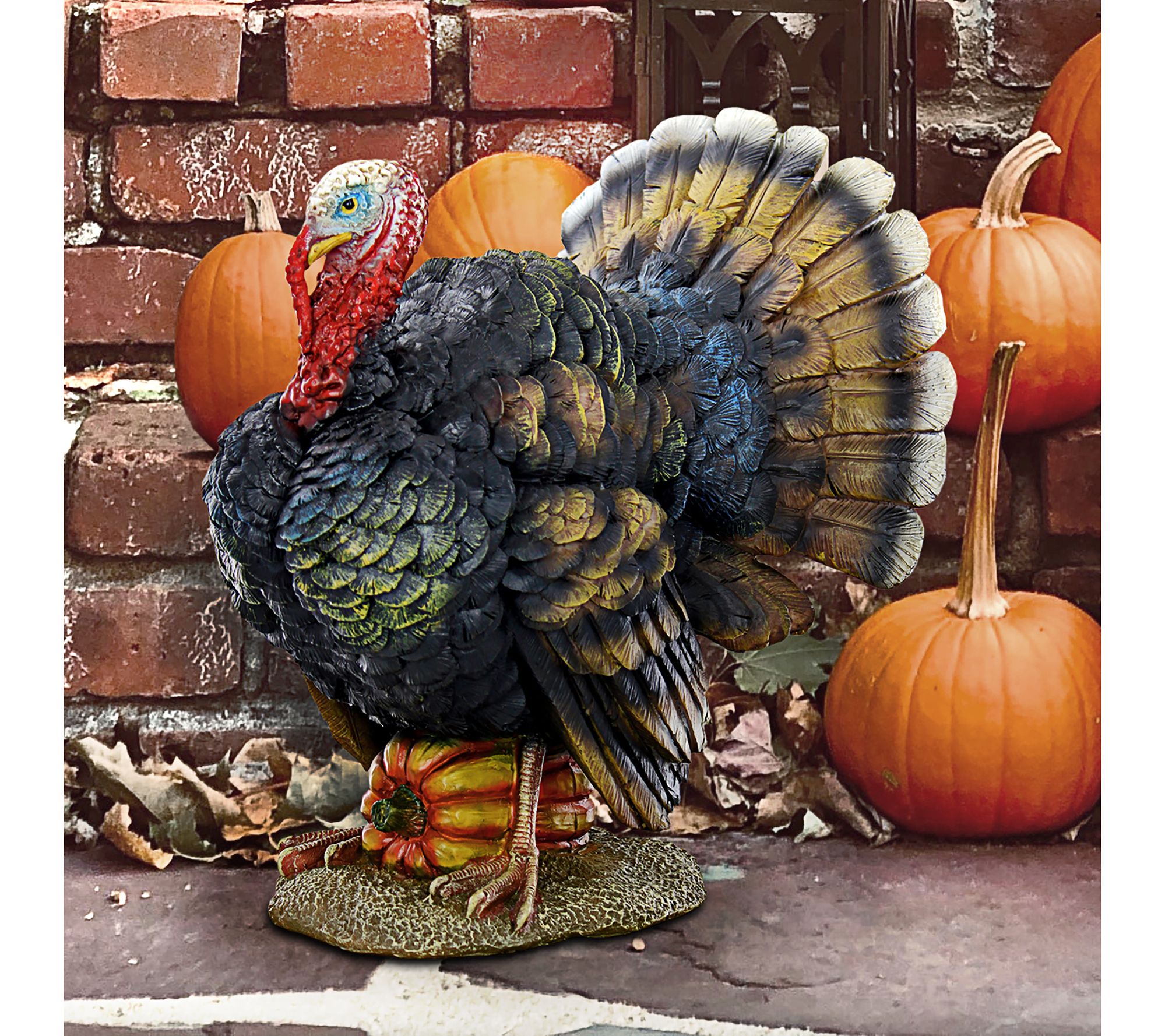 Design Toscano North American Turkey Statue - QVC.com