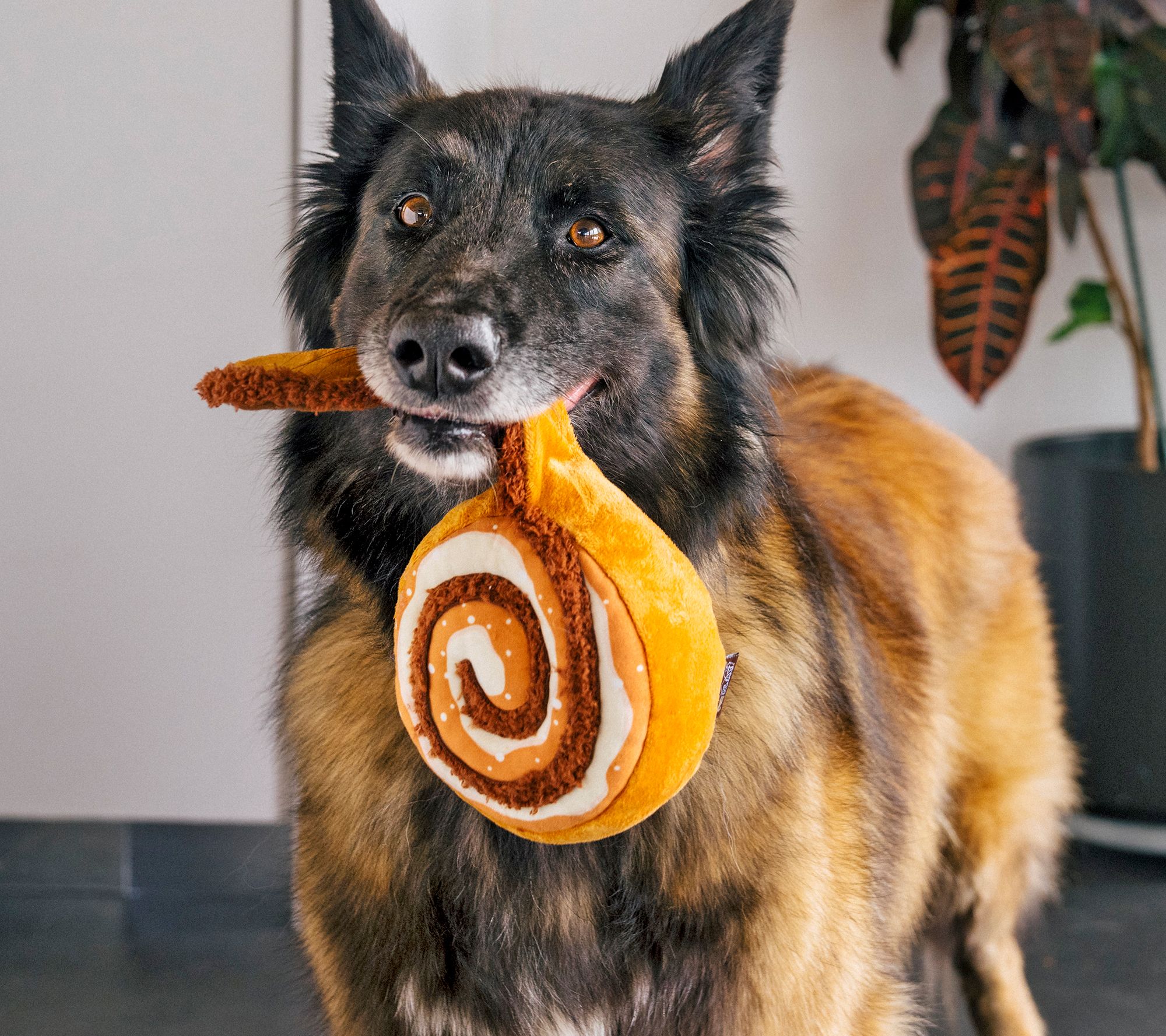 P.L.A.Y. Pup Cup Cafe Collection - 5pc Plush Dog Toys - QVC.com