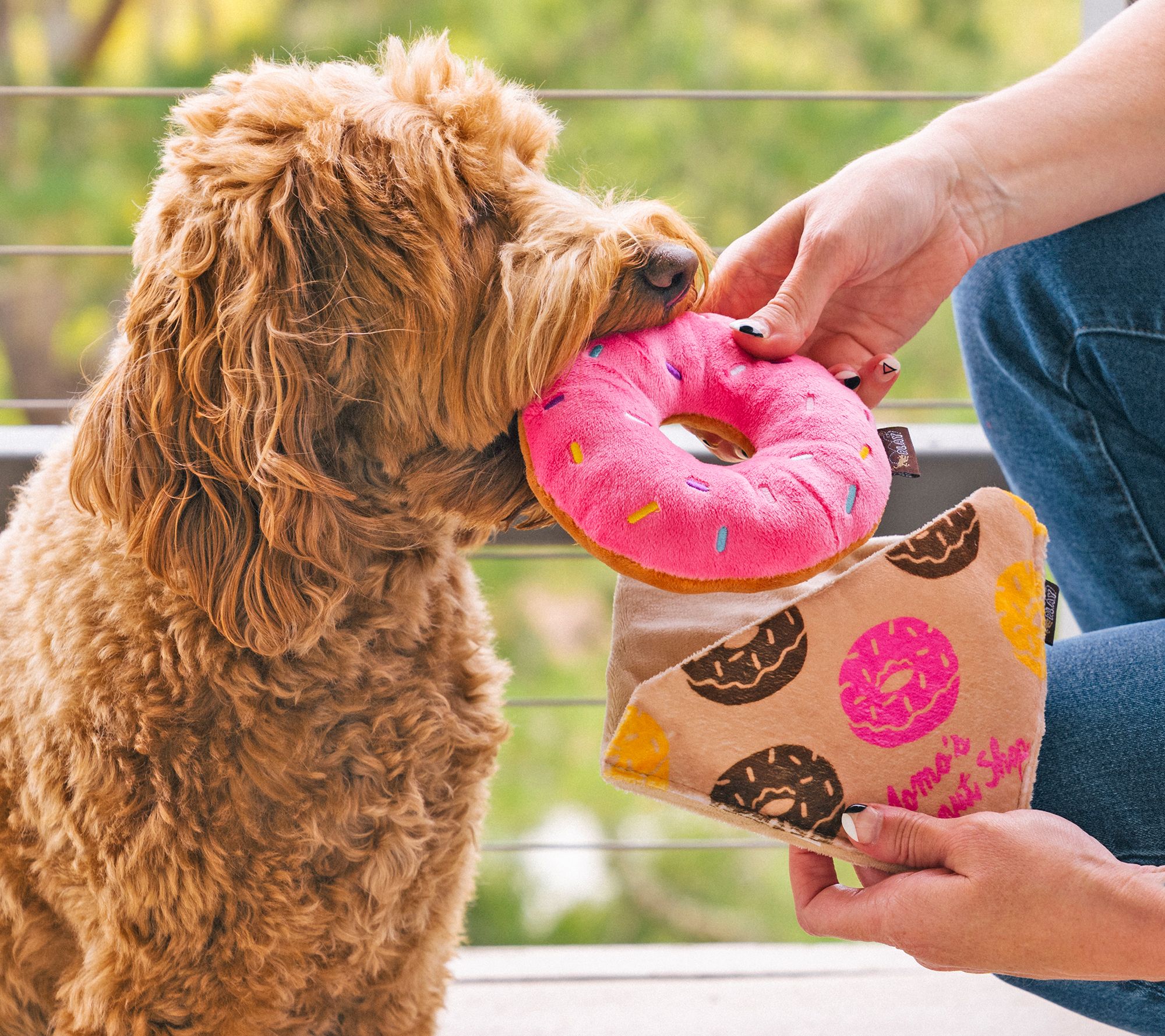 P.L.A.Y. Pup Cup Cafe Collection - 5pc Plush Dog Toys - QVC.com